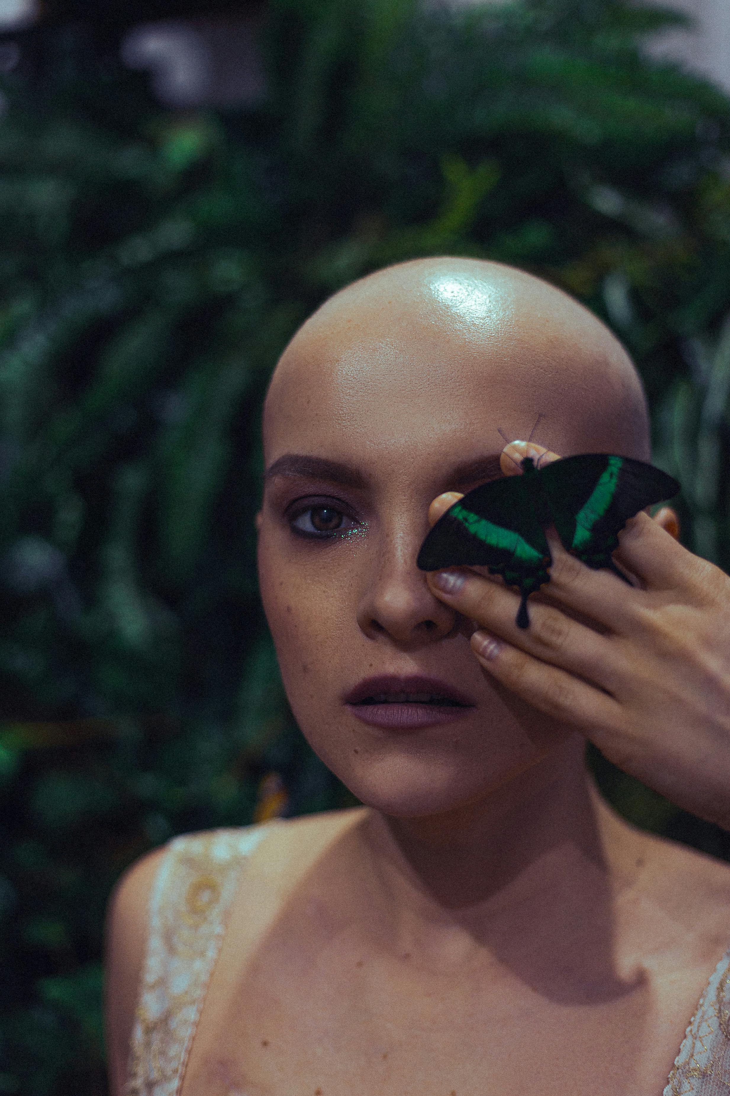 Bald Insect Forge Grown Photos, Download The BEST Free Bald Insect ...