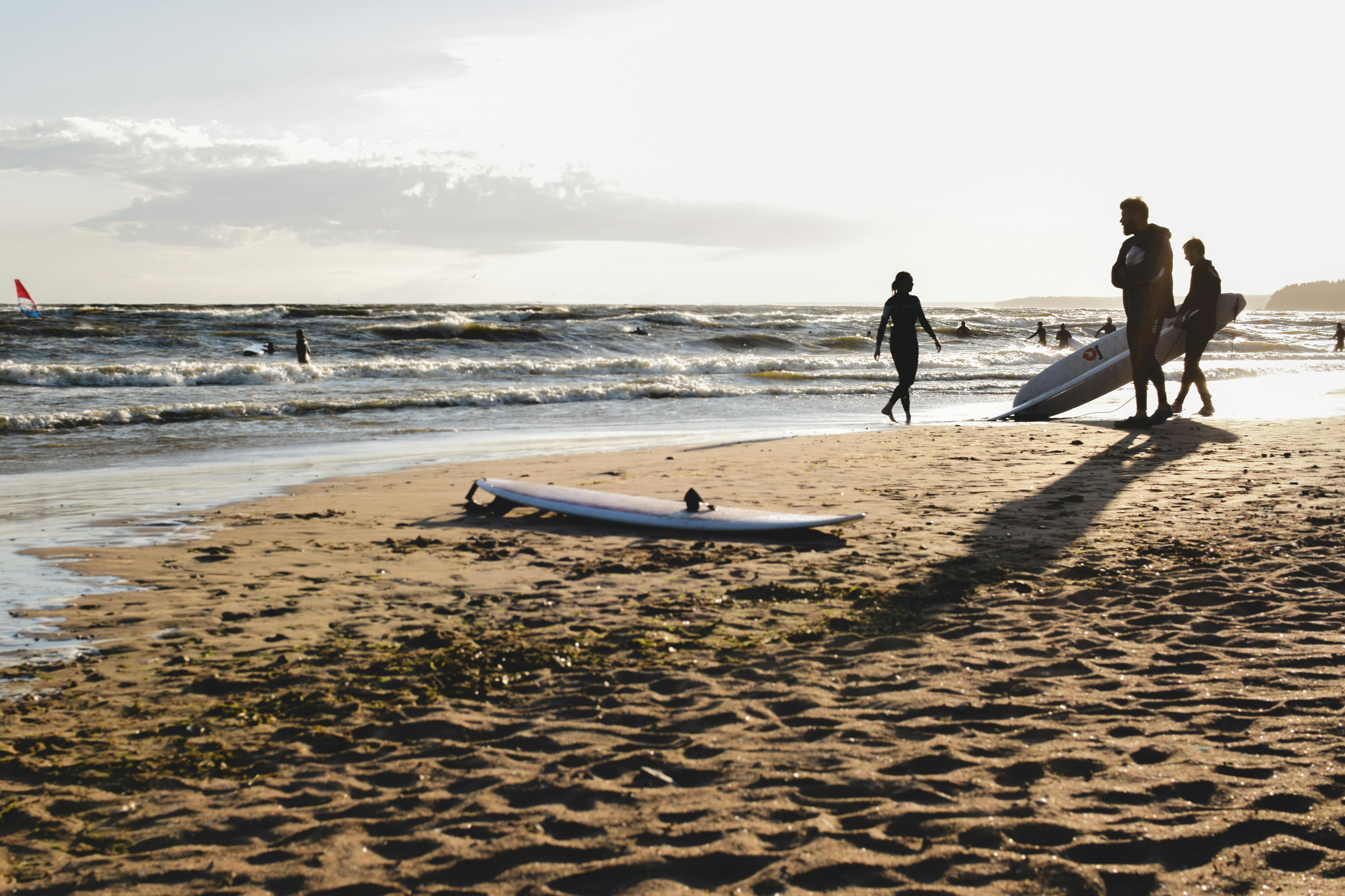 Surfers on Beach during Daytime · Free Stock Photo
