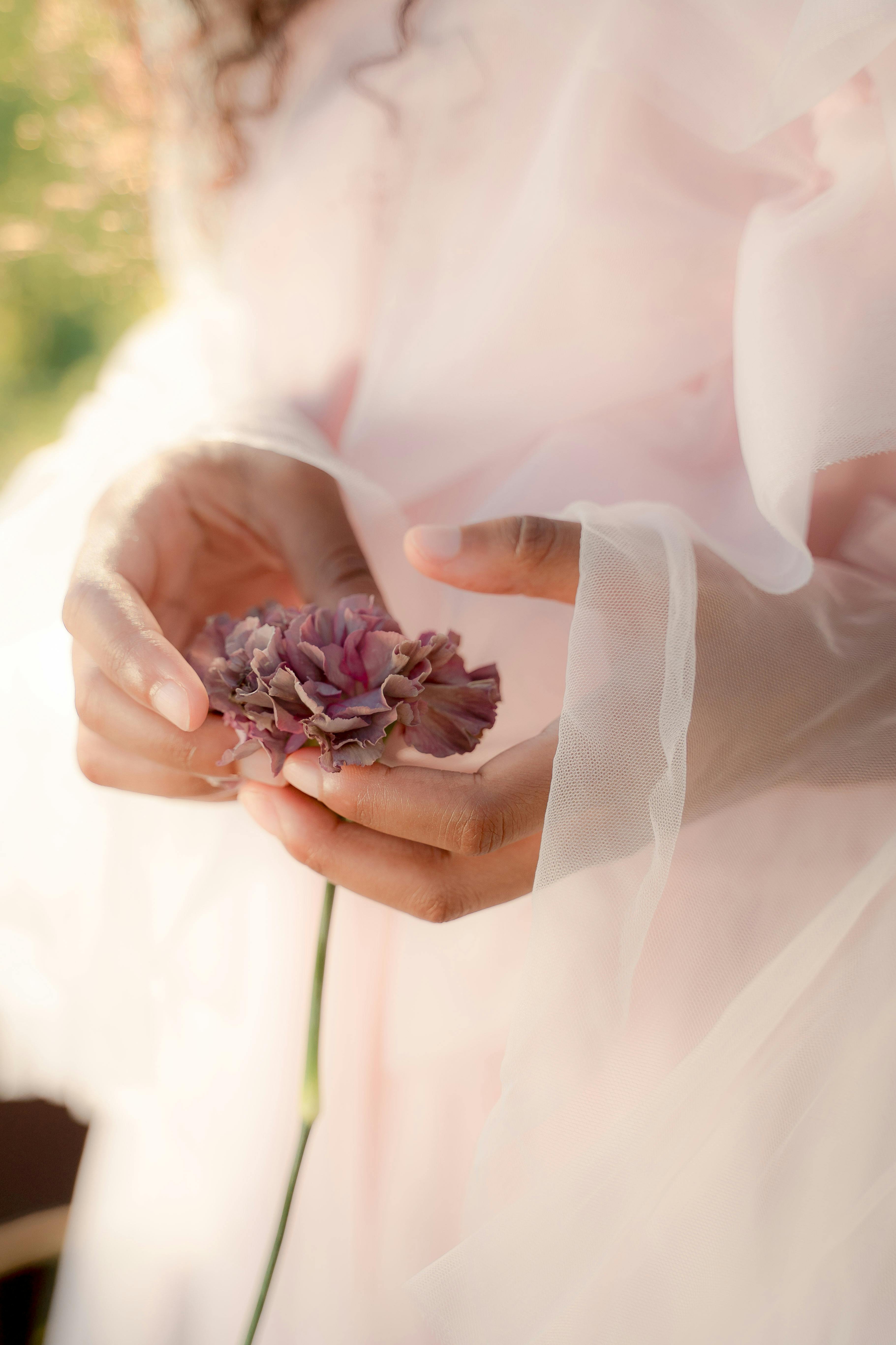 Hands Holding Flower · Free Stock Photo
