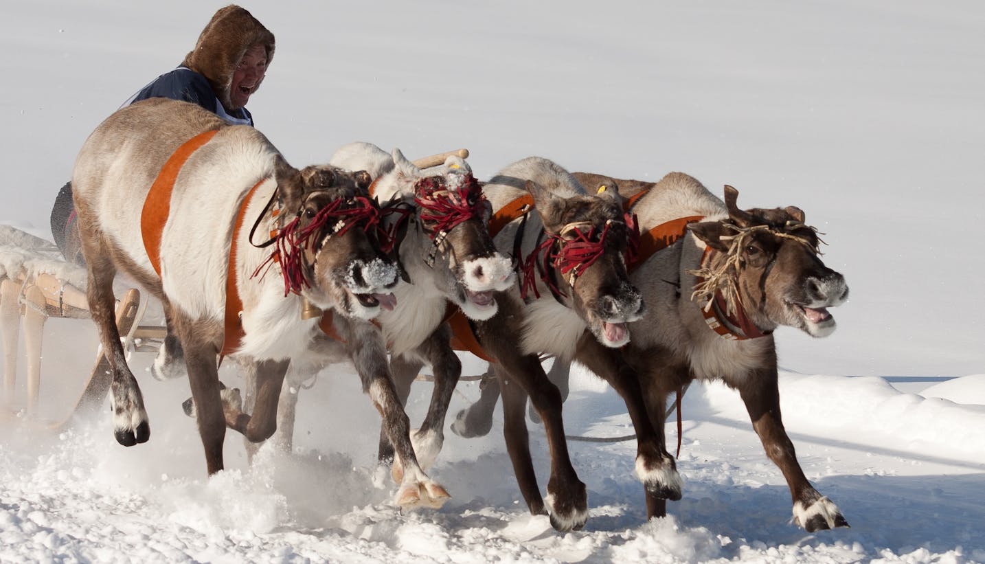 Exploring Inuit Dog Names with Native Cultural Significance