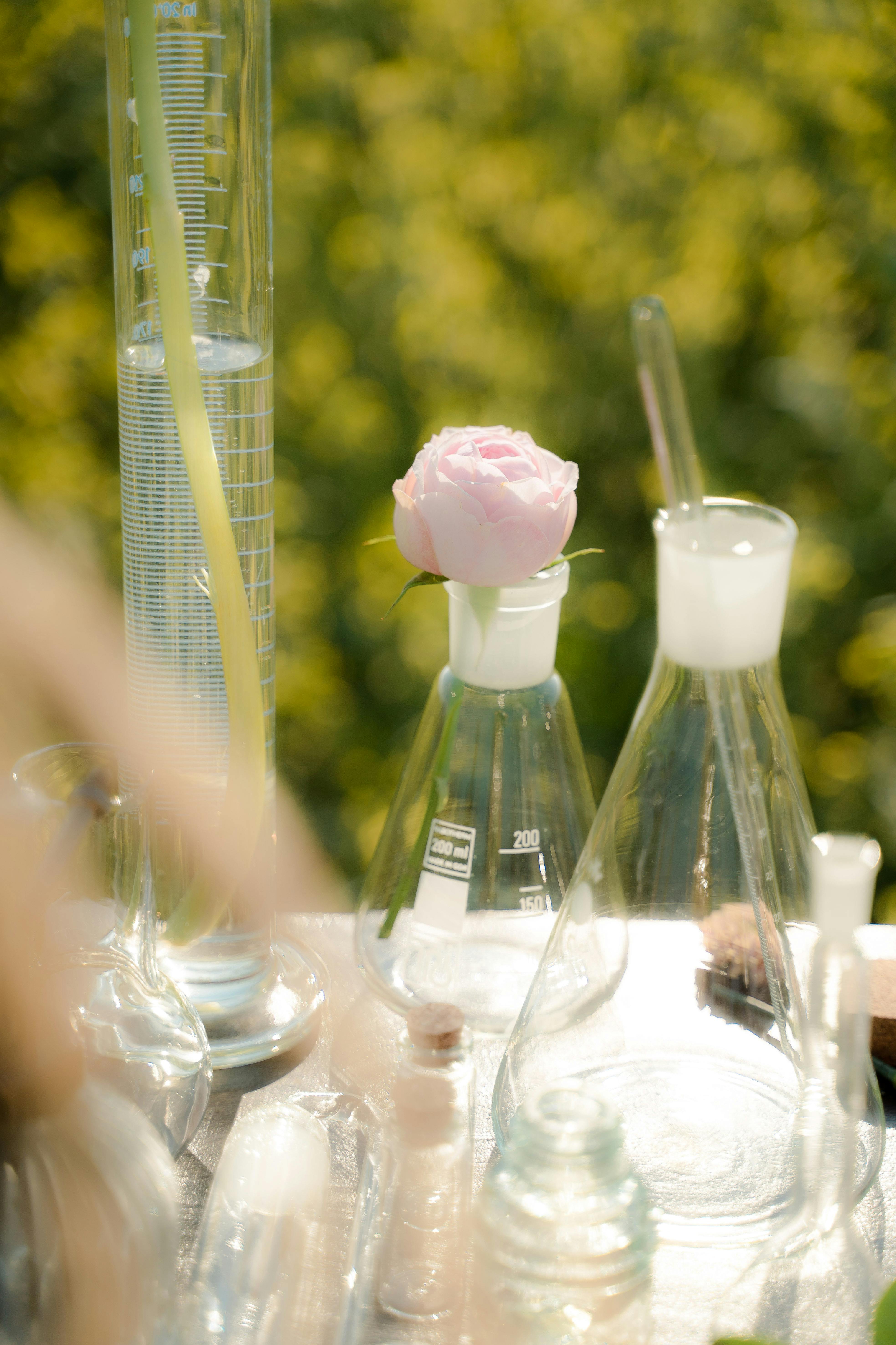 Backyard Lab Photos, Download The BEST Free Backyard Lab Stock Photos ...