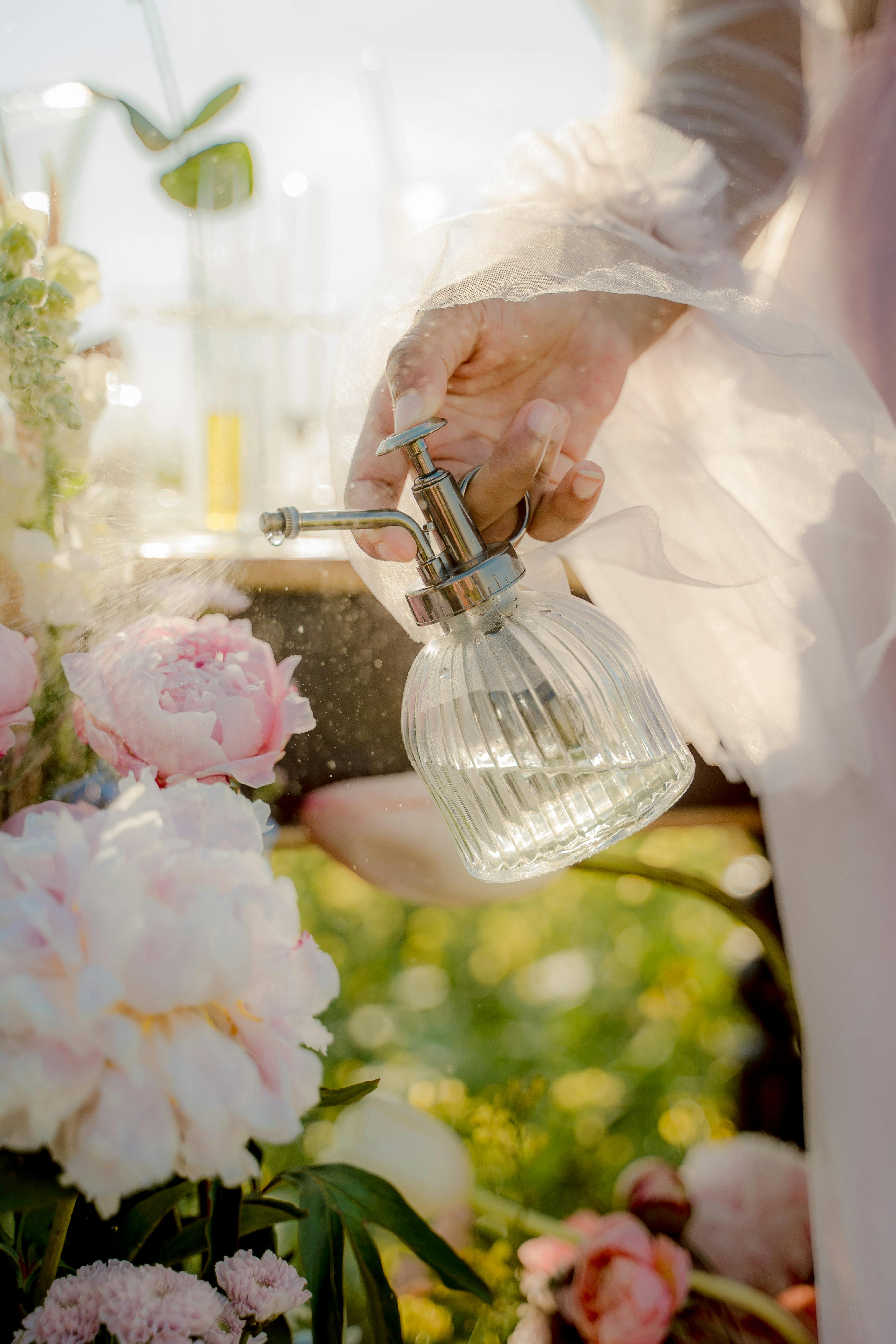 Bloom Sprayer Photos, Download The BEST Free Bloom Sprayer Stock Photos ...