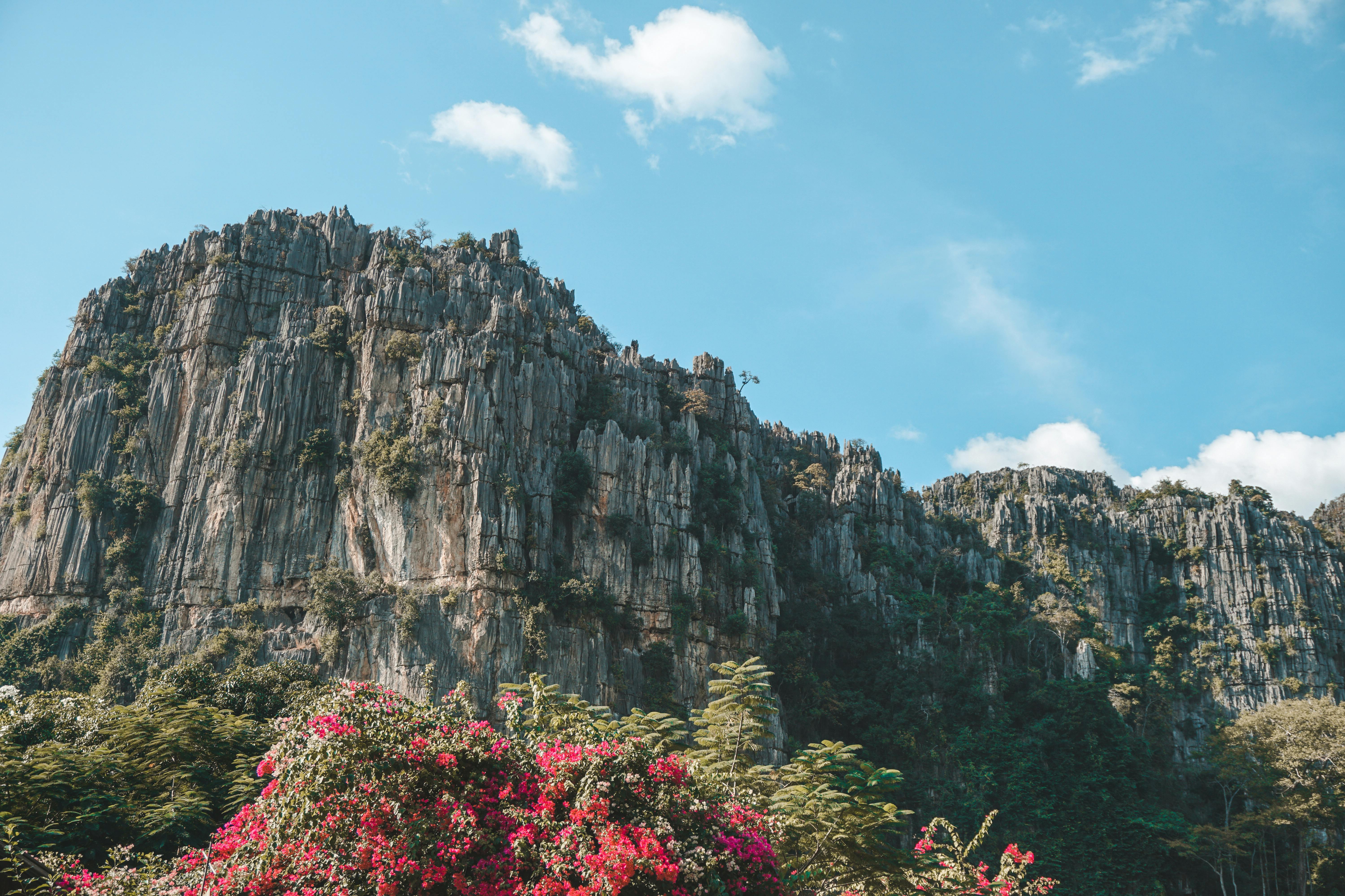 Scenic View of Tall Cliffs · Free Stock Photo