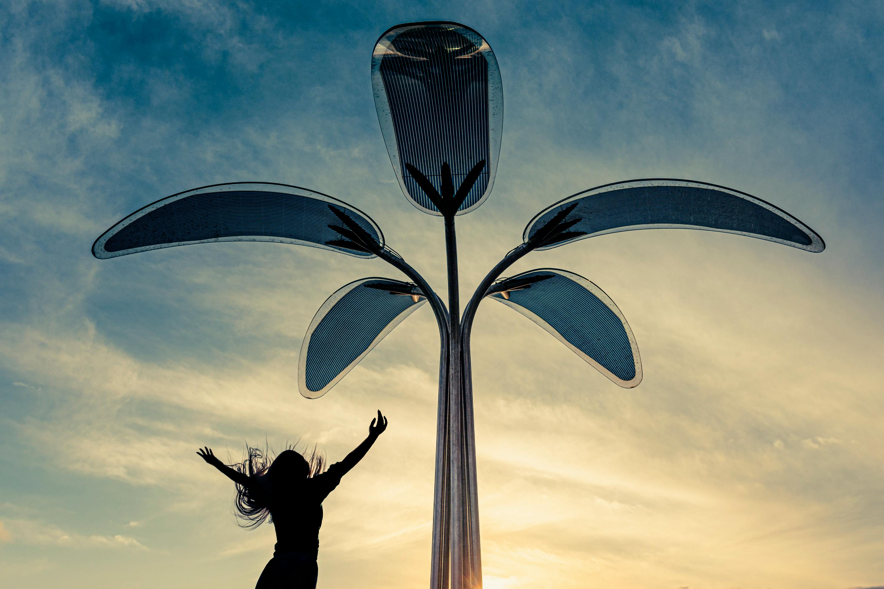 Ops Photos, Download The BEST Free Ops Stock Photos & HD Images