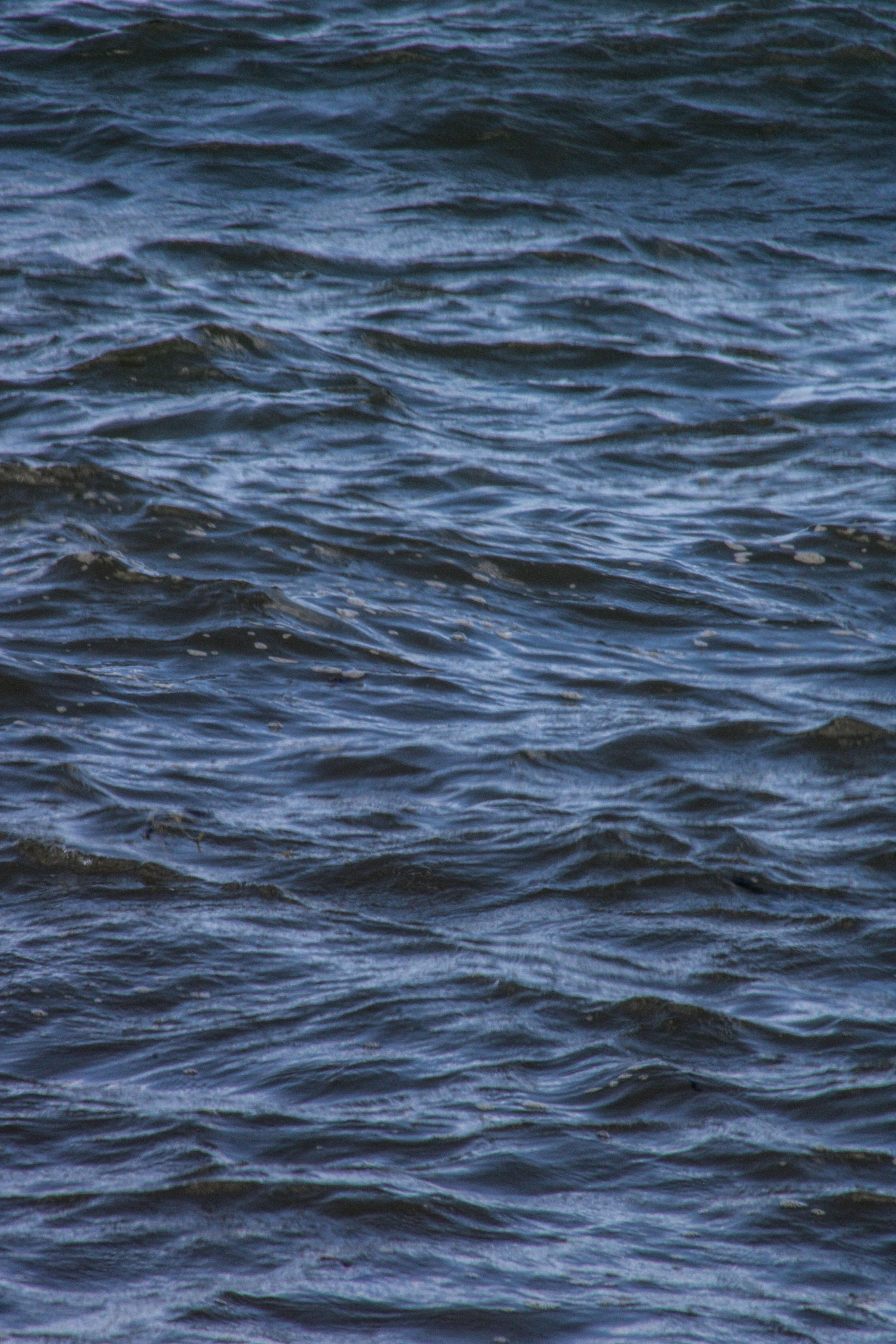 Surface of Wavy Sea · Free Stock Photo