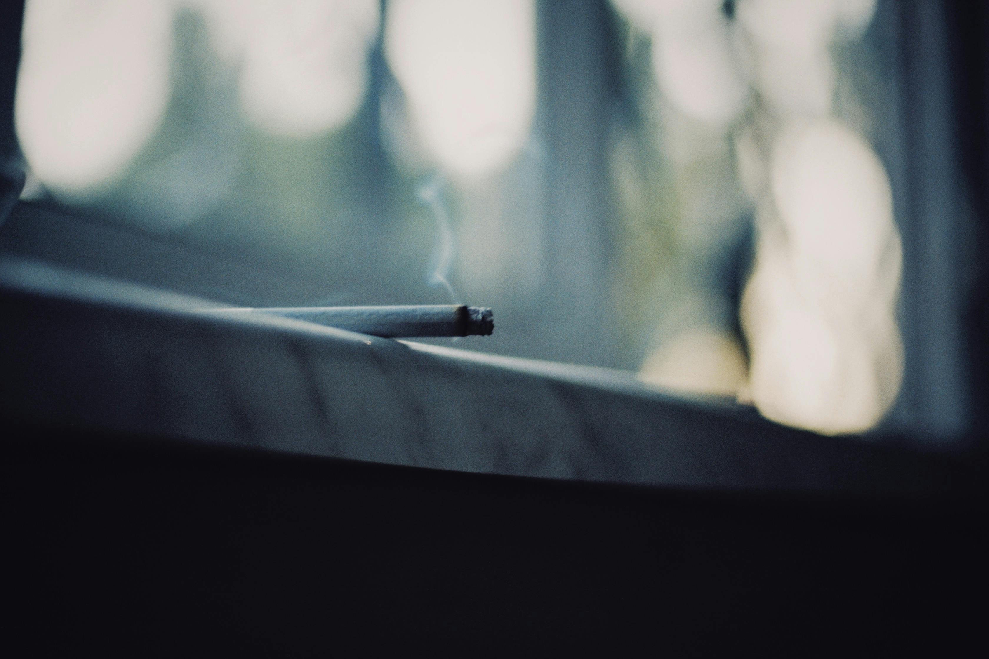 Back Lit Smoke as Background for Fashion Show · Free Stock Photo