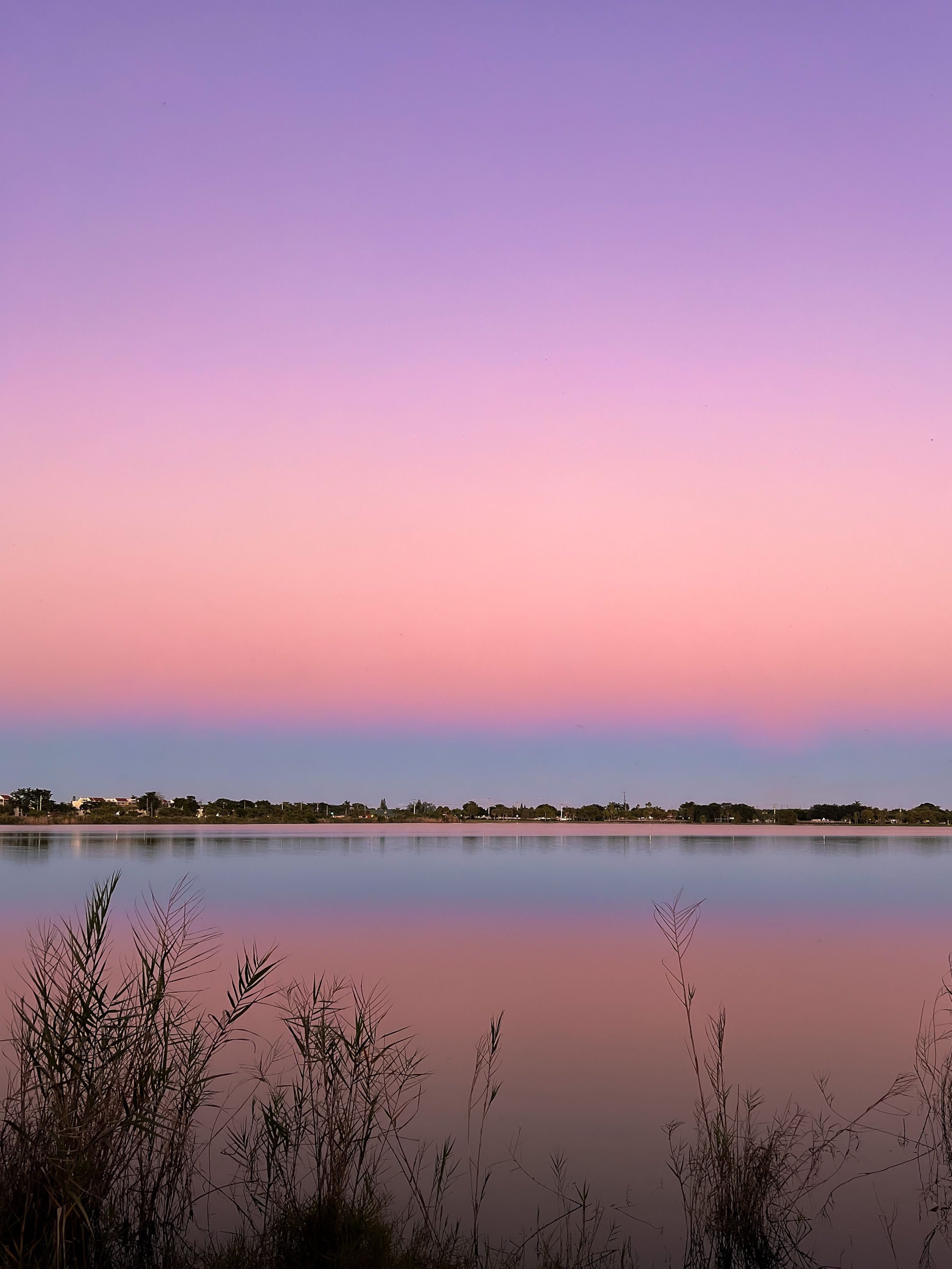 Calm Lake Under the Pink Sky · Free Stock Photo
