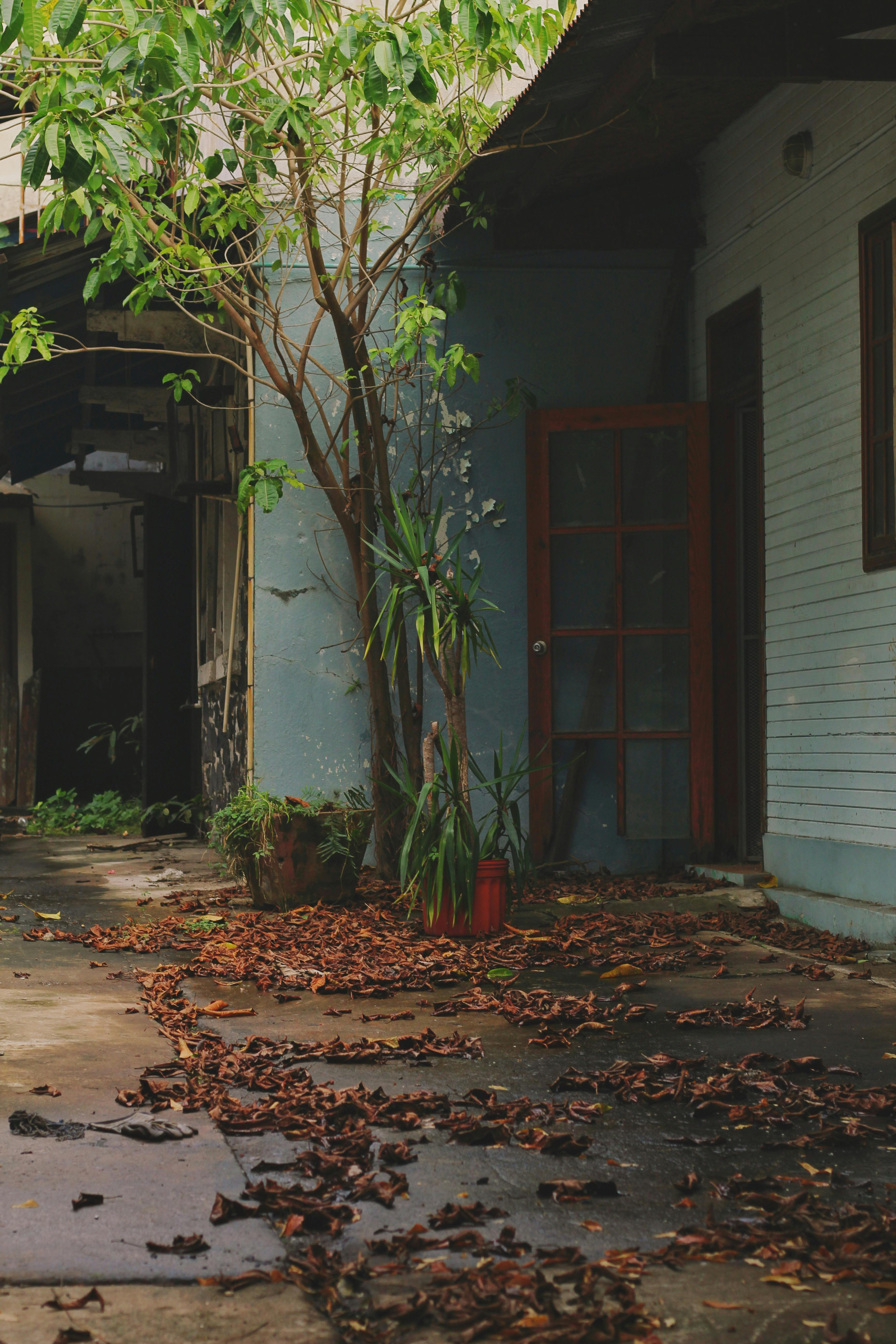 Entryway Home Messy Photos, Download The BEST Free Entryway Home Messy ...