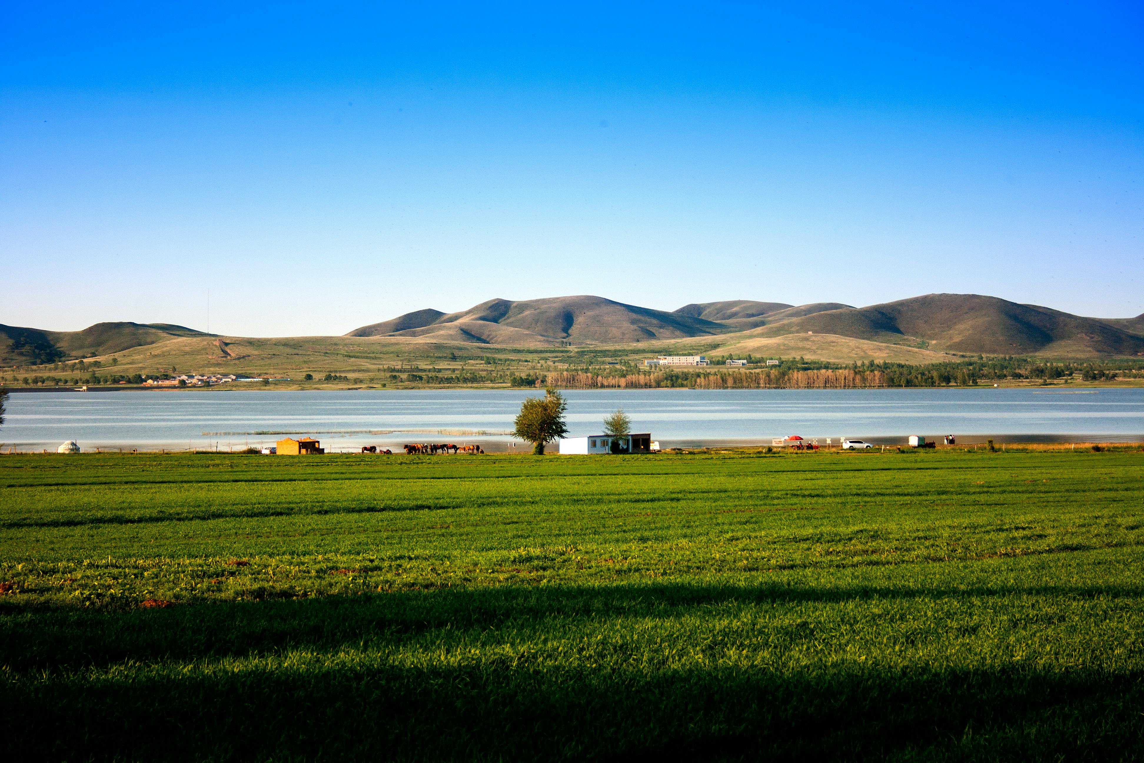 Grass Huts Photos, Download The BEST Free Grass Huts Stock Photos & HD ...