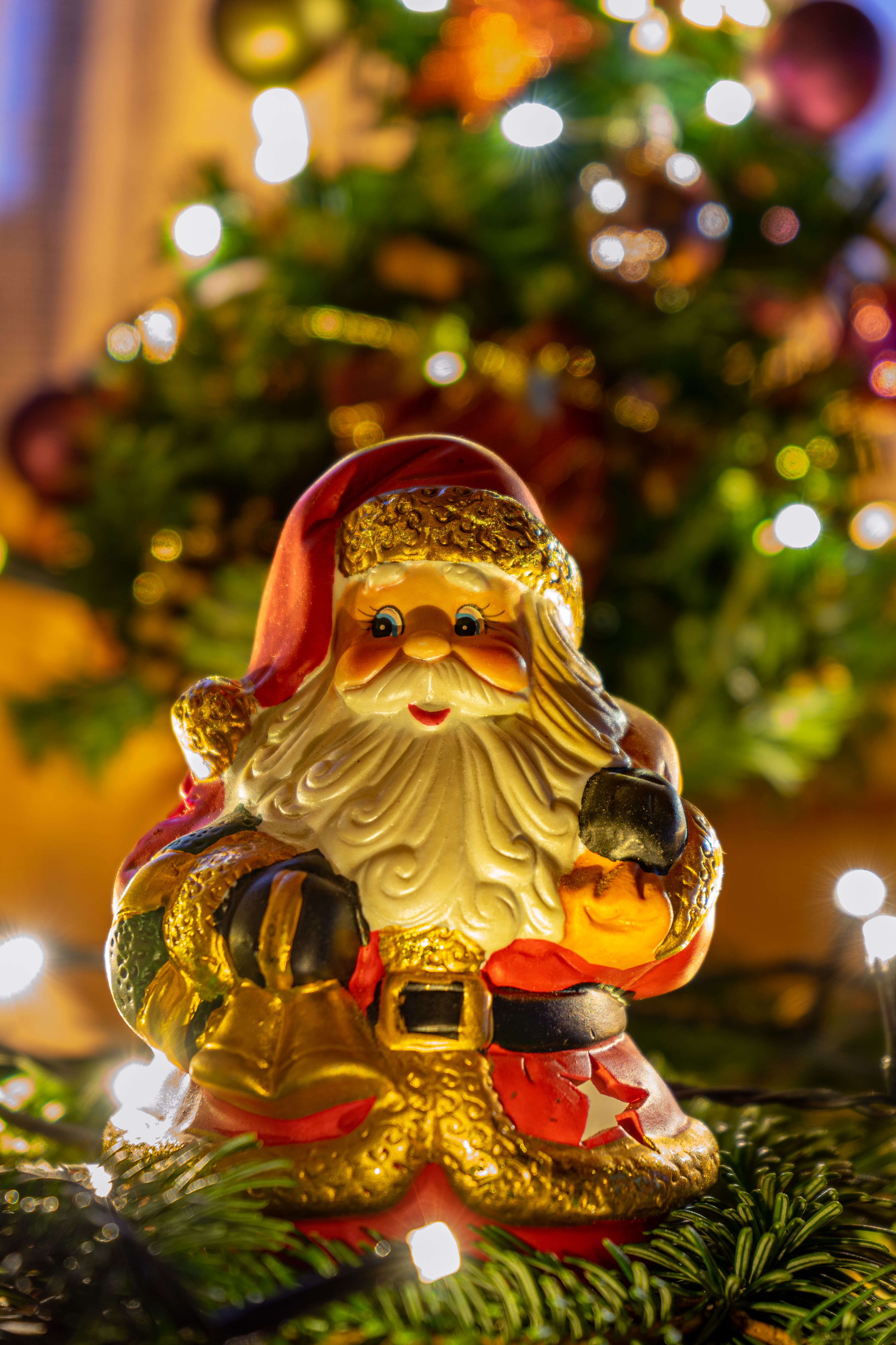 Figure of Santa on Conifer Branch · Free Stock Photo