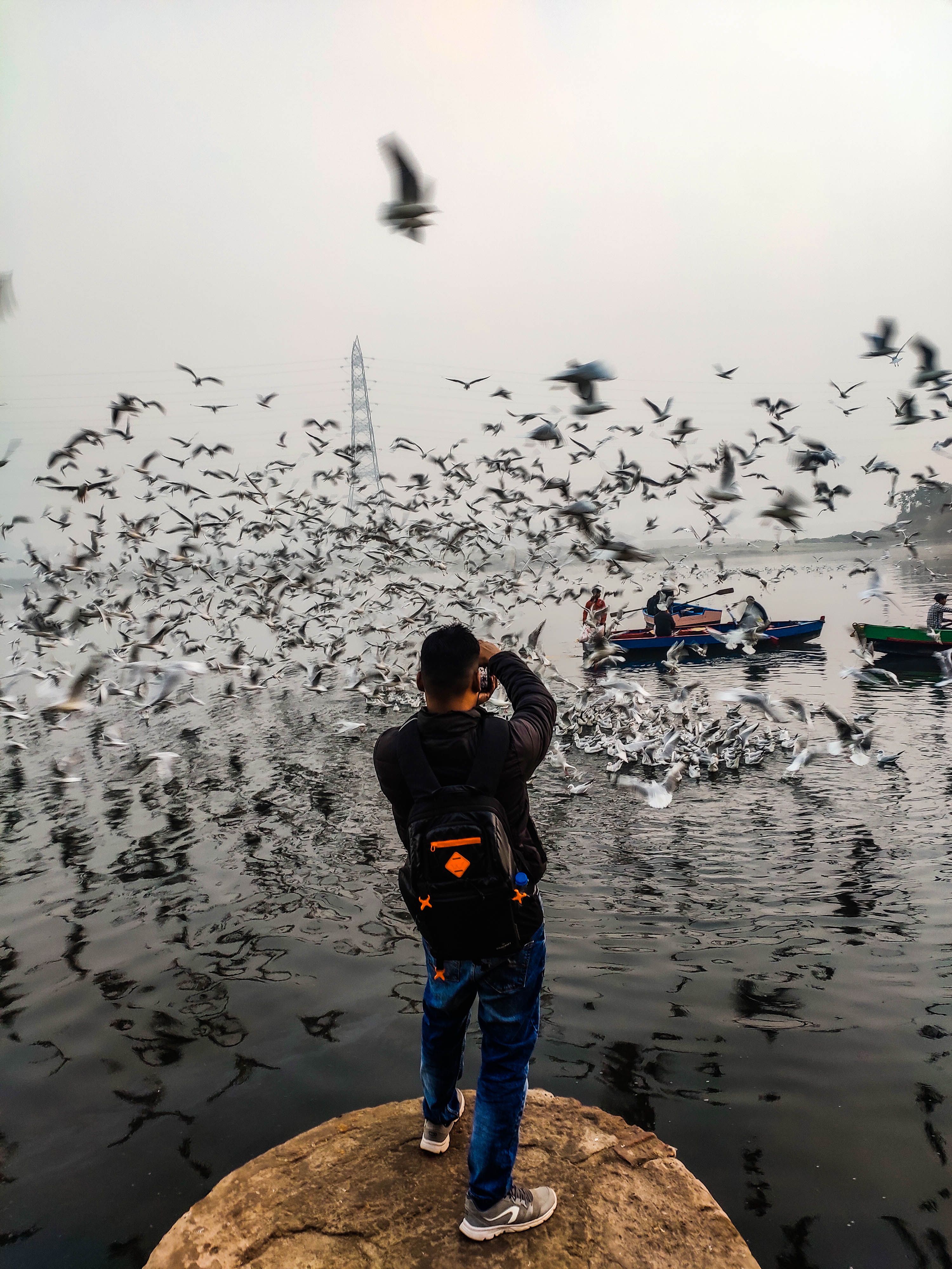 Photo of a Man Taking a Picture of Flying Birds · Free Stock Photo