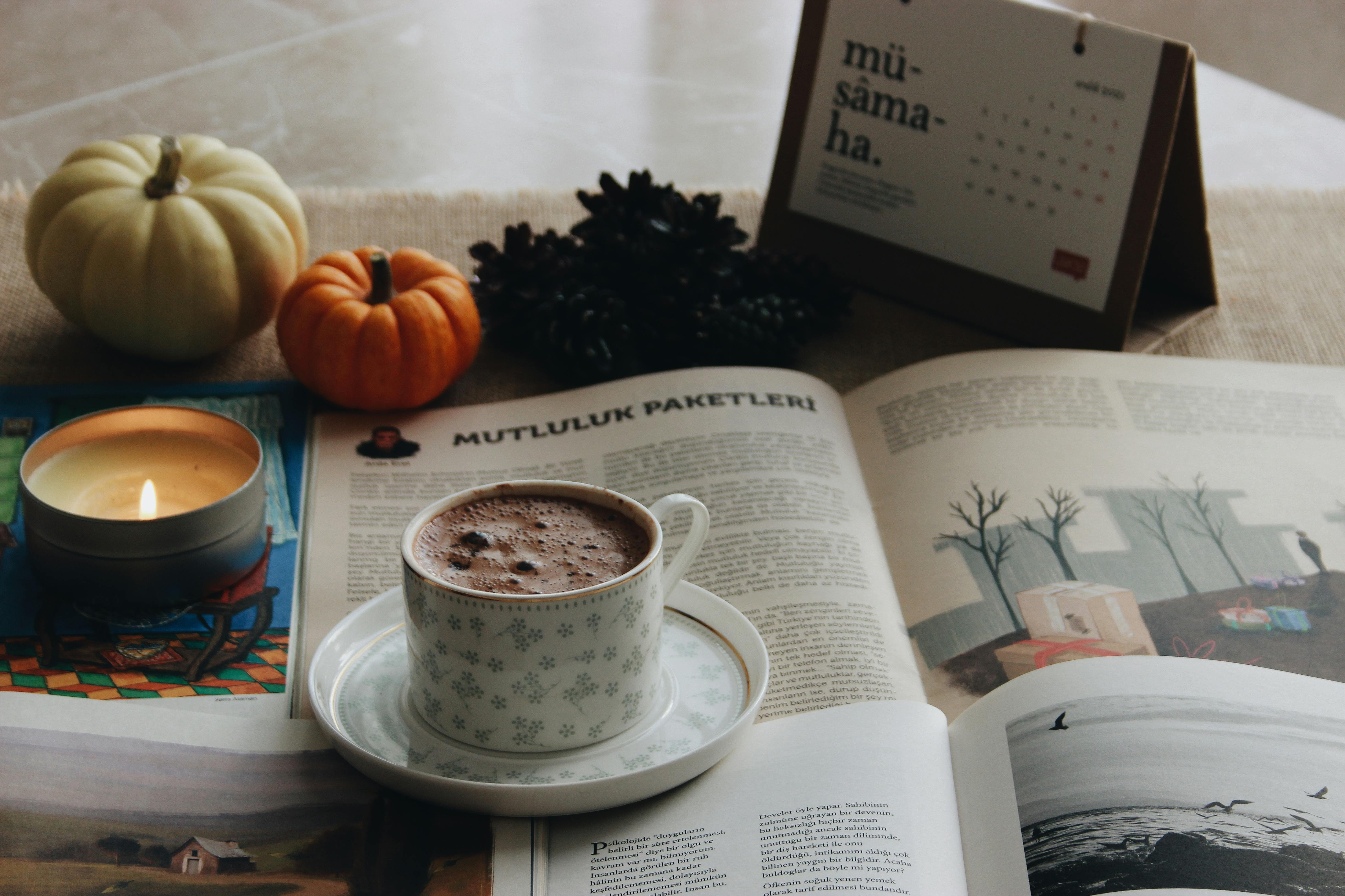 Tucan Paketleri Photos, Download The BEST Free Tucan Paketleri Stock ...