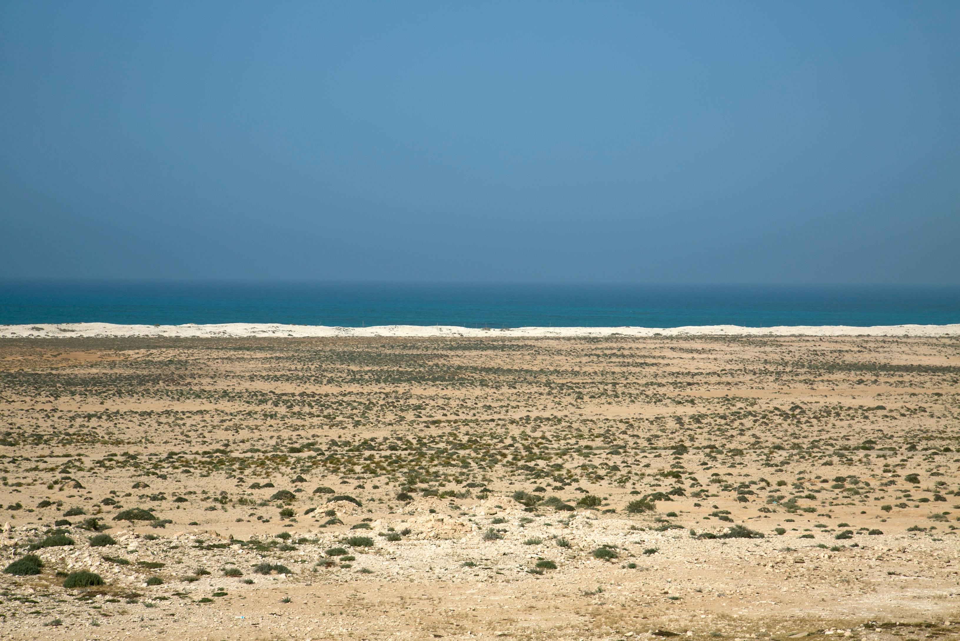 Green Grass Near Shoreline Beside Sea Under Blue Sky · Free Stock Photo