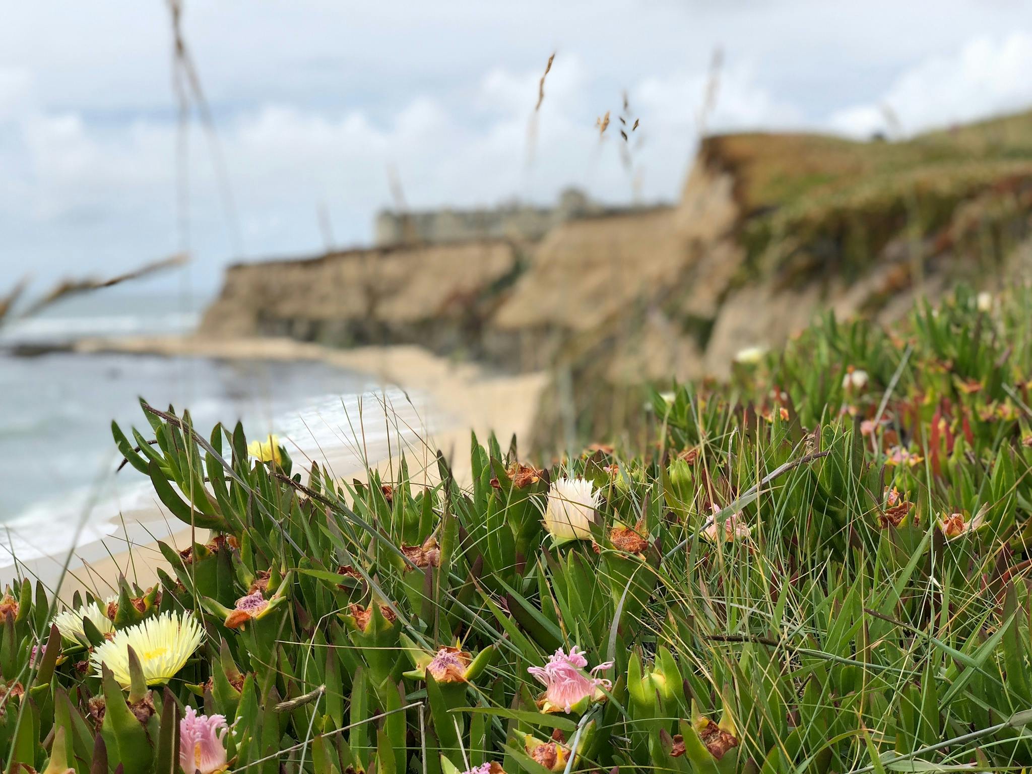 Ulf Schade - Photography