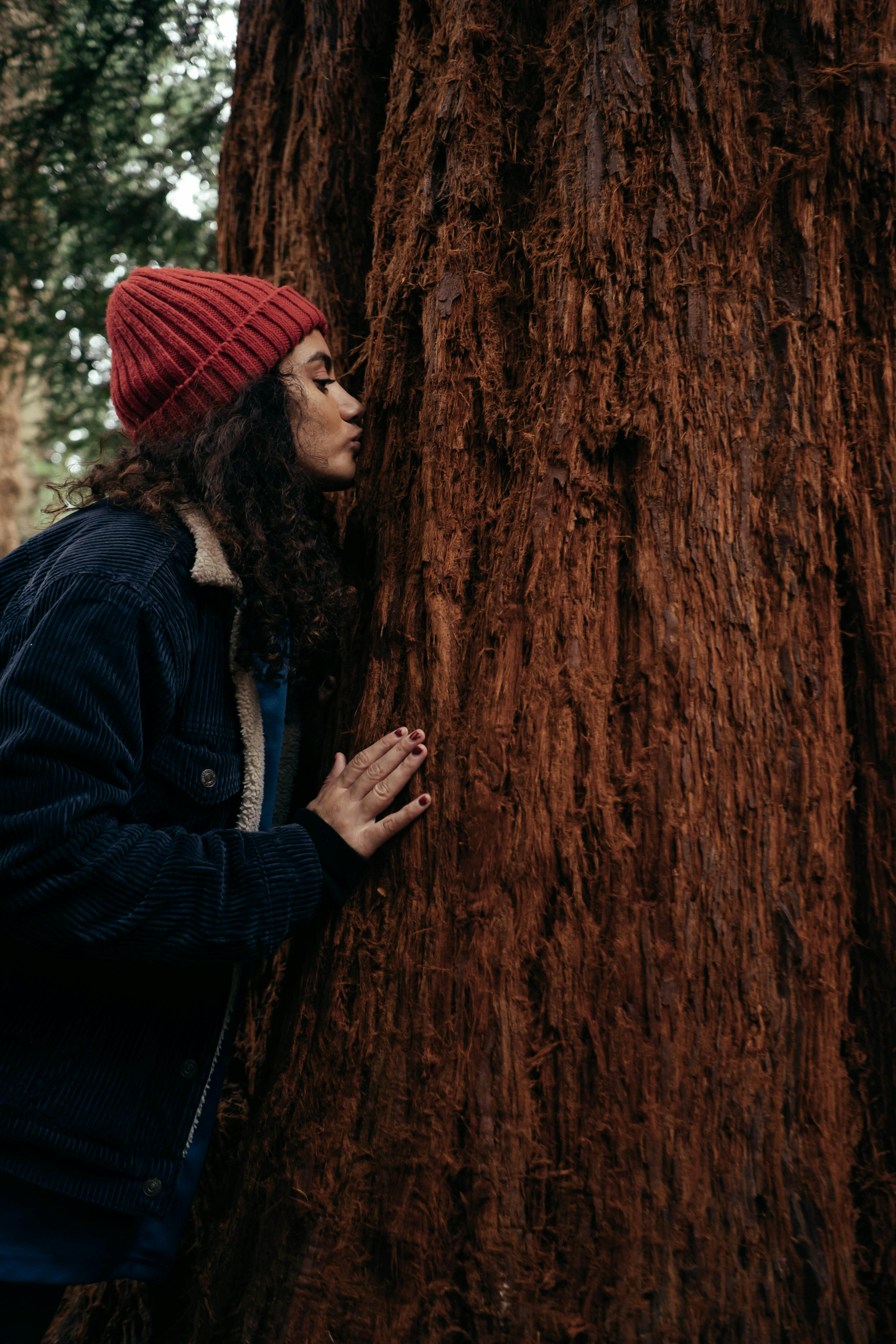 Person's Hand on Tree Trunk · Free Stock Photo