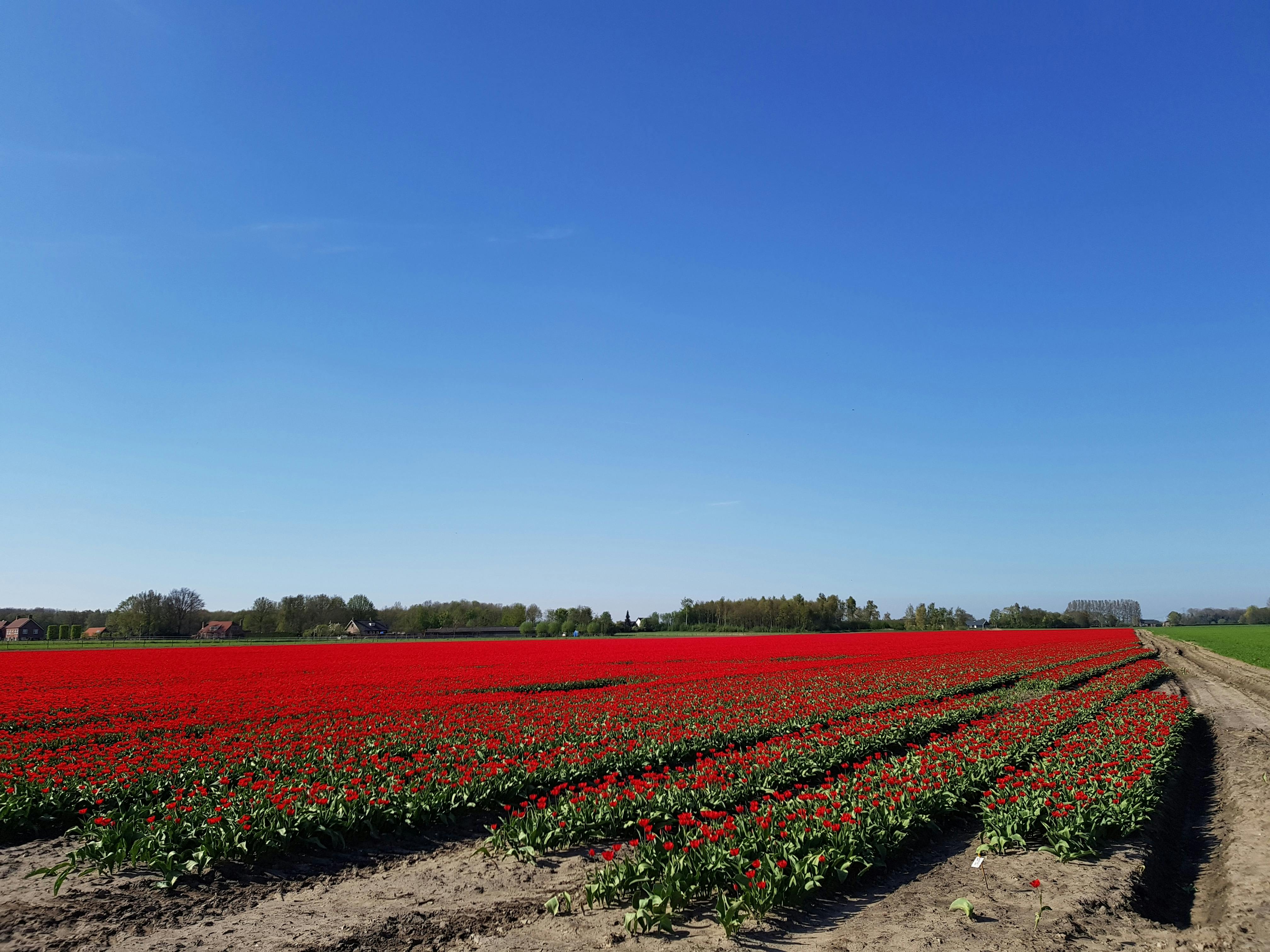 How to Create a Logo for My Own Curved Style – Logomakershop Blog