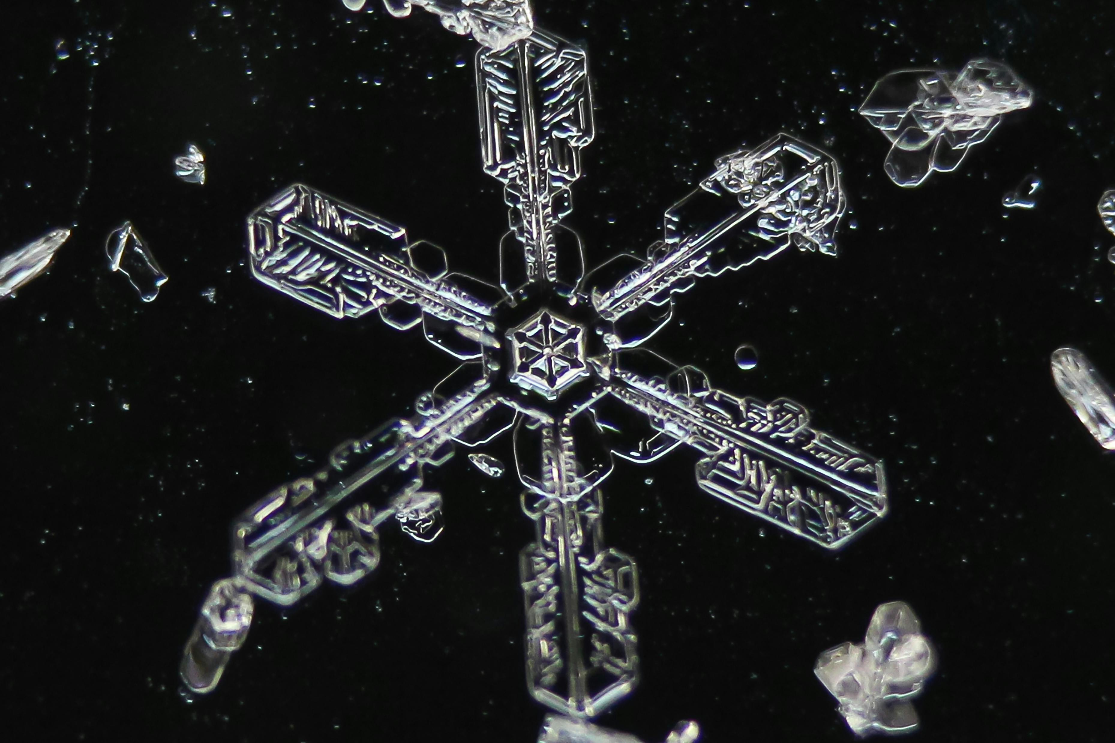 Close-Up Shot of a Snowflake · Free Stock Photo