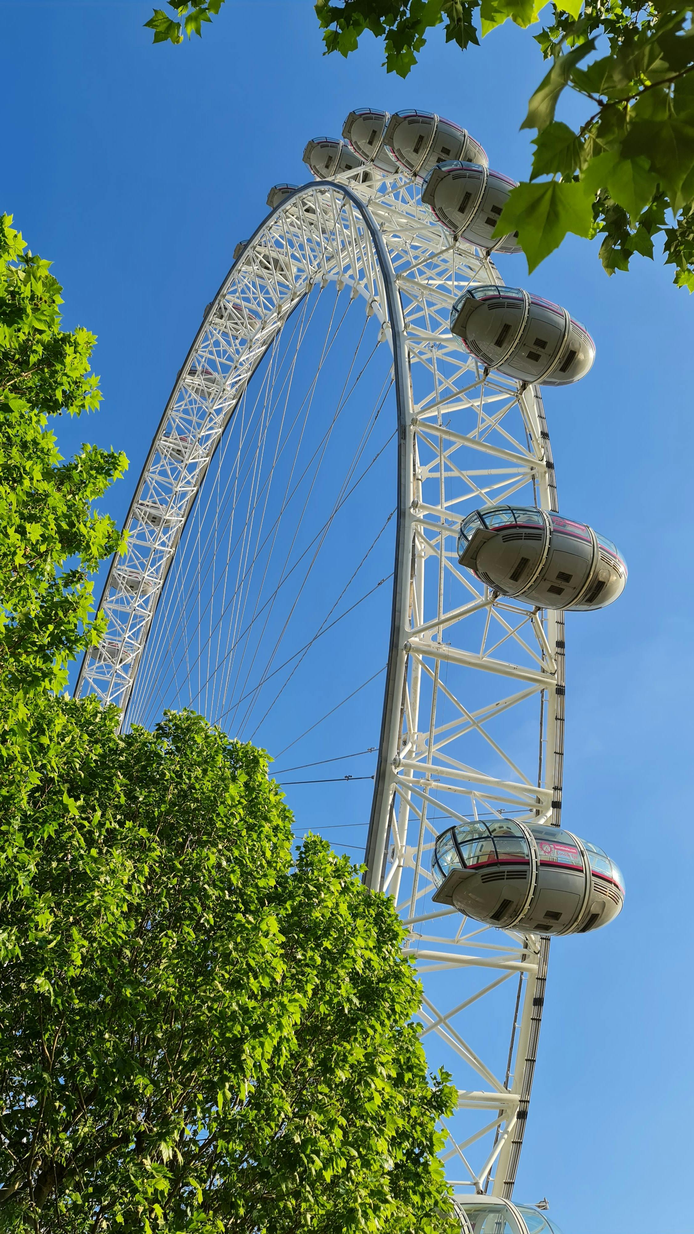 Photo of a White Ferris Wheel Near a Green Tree · Free Stock Photo