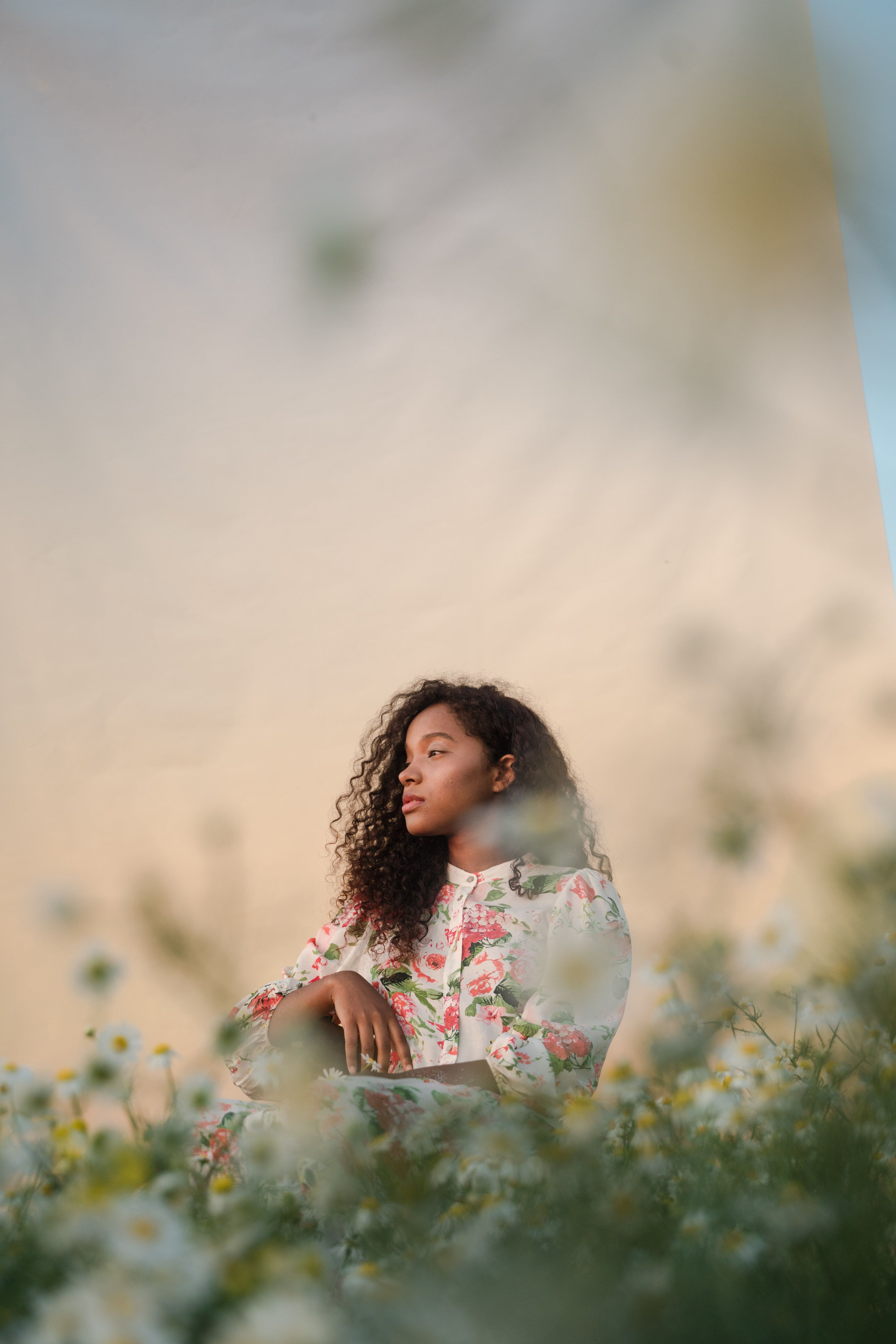 Woman Sitting on Flower Field · Free Stock Photo