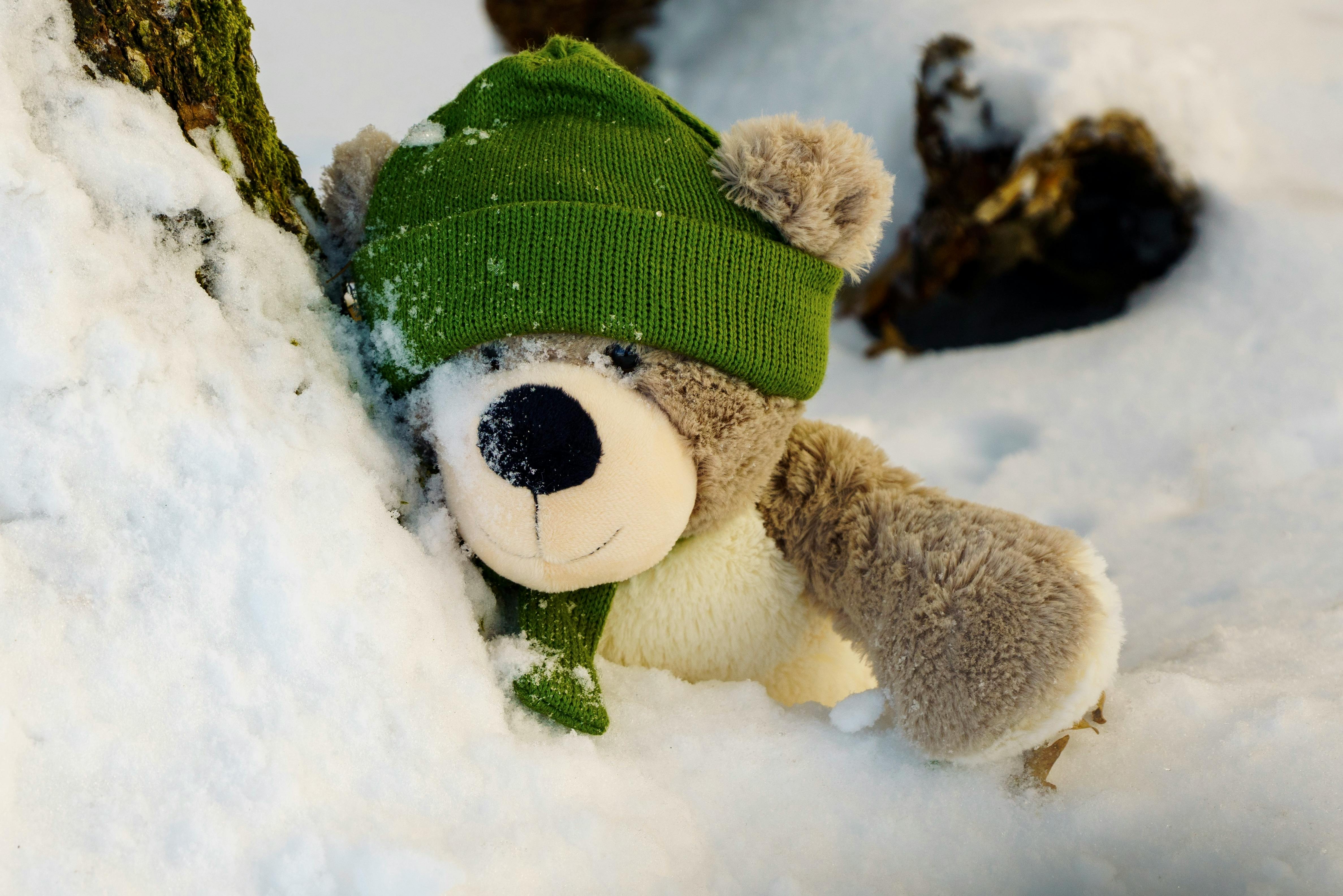 60,000+ Best Stuffed Animal Photos · 100% Free Download · Pexels Stock ...