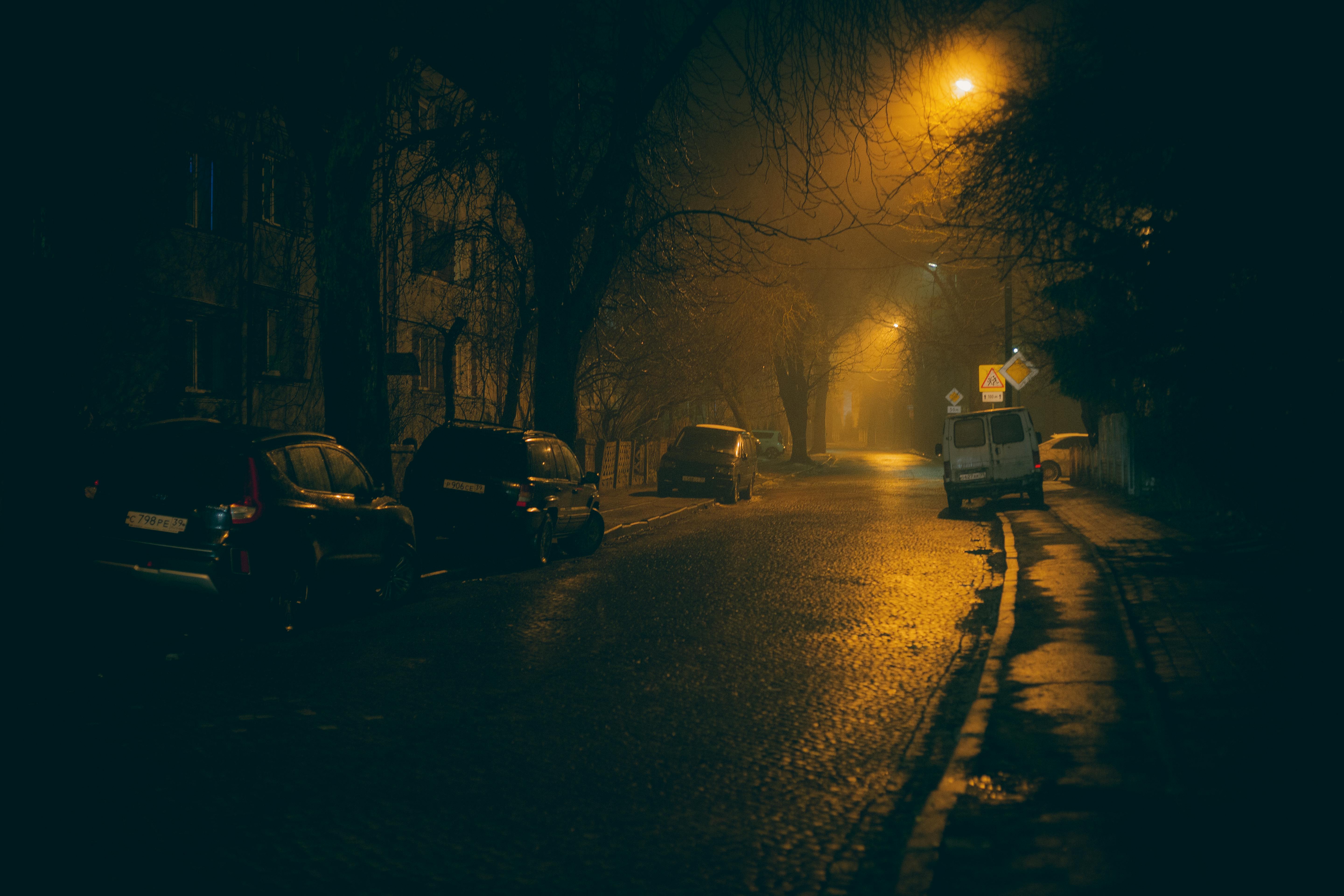 Black Tree at Night Time · Free Stock Photo