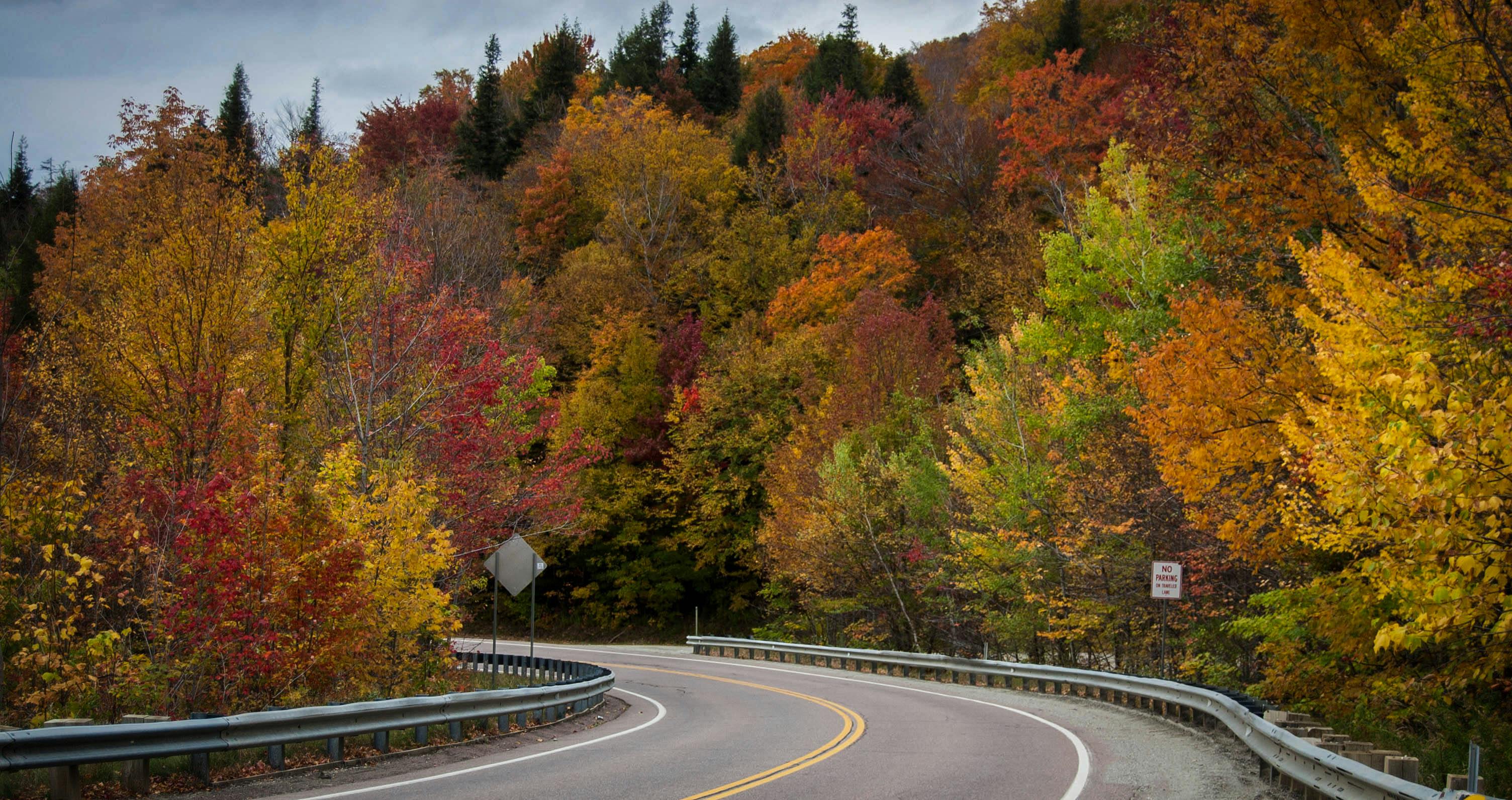 Free stock photo of colorful road, fall colors, fall foliage