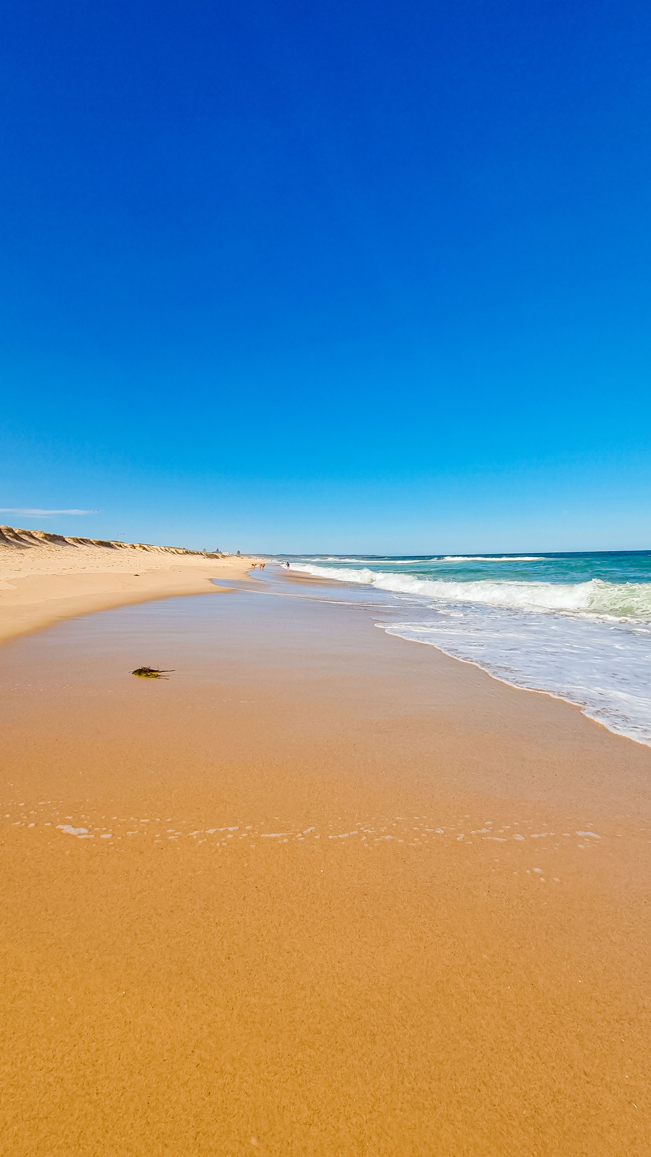 Brown Sand on the Beach · Free Stock Photo