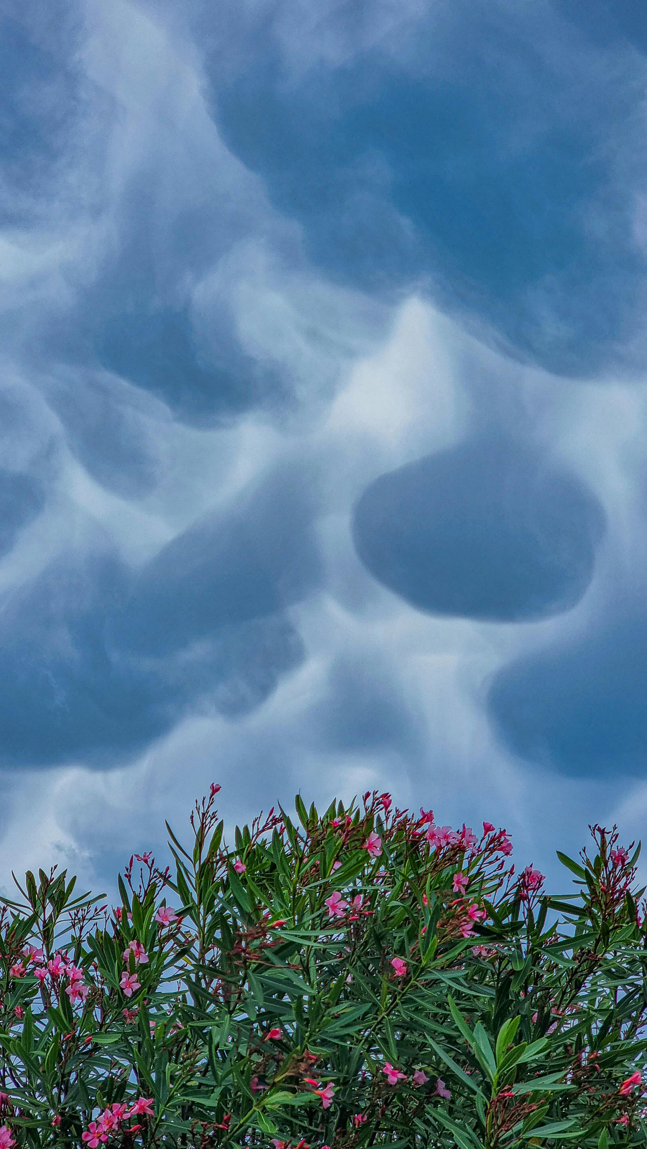 Strange Clouds Formation in the Sky · Free Stock Photo