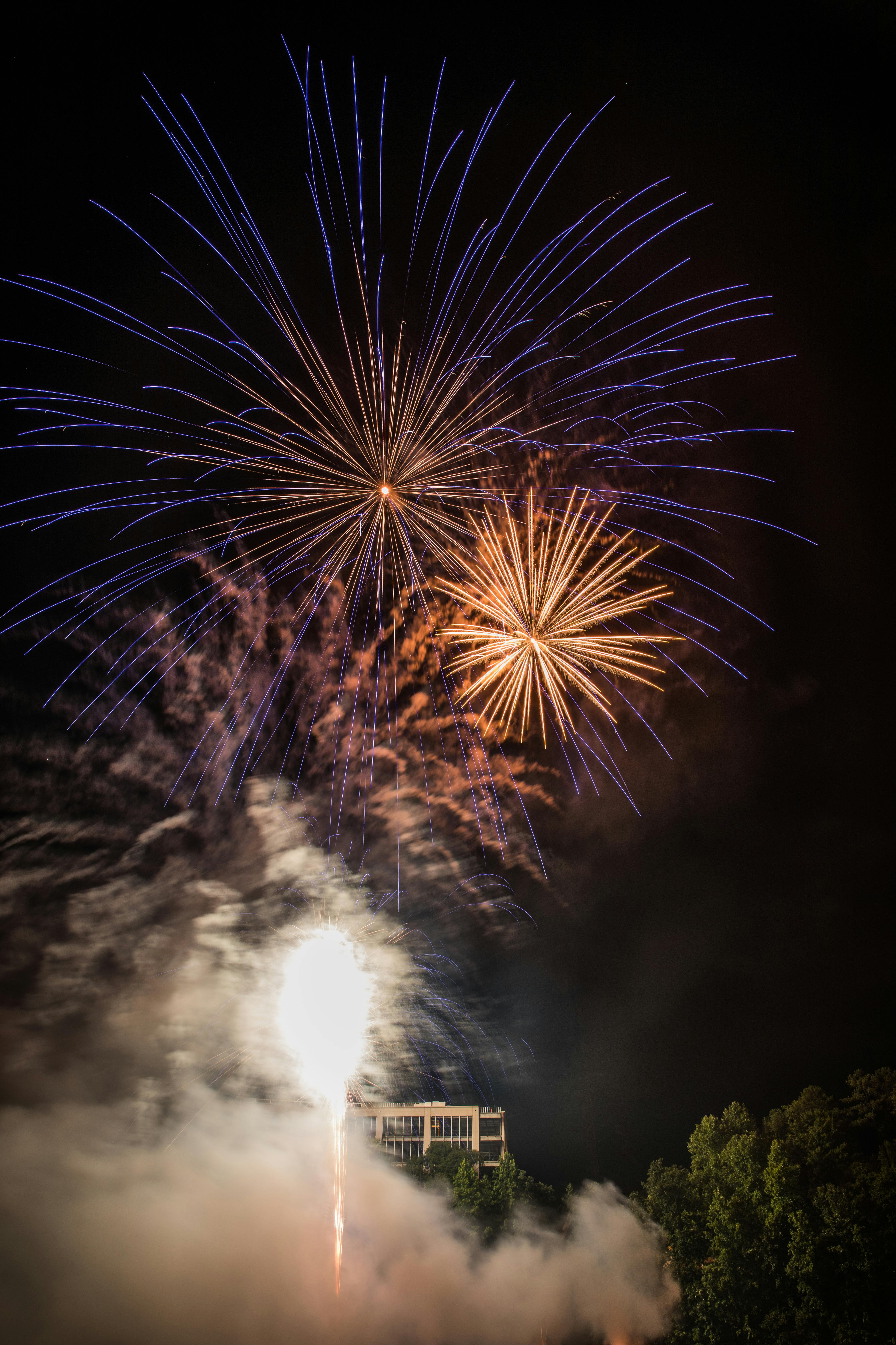 Fireworks in the Sky · Free Stock Photo