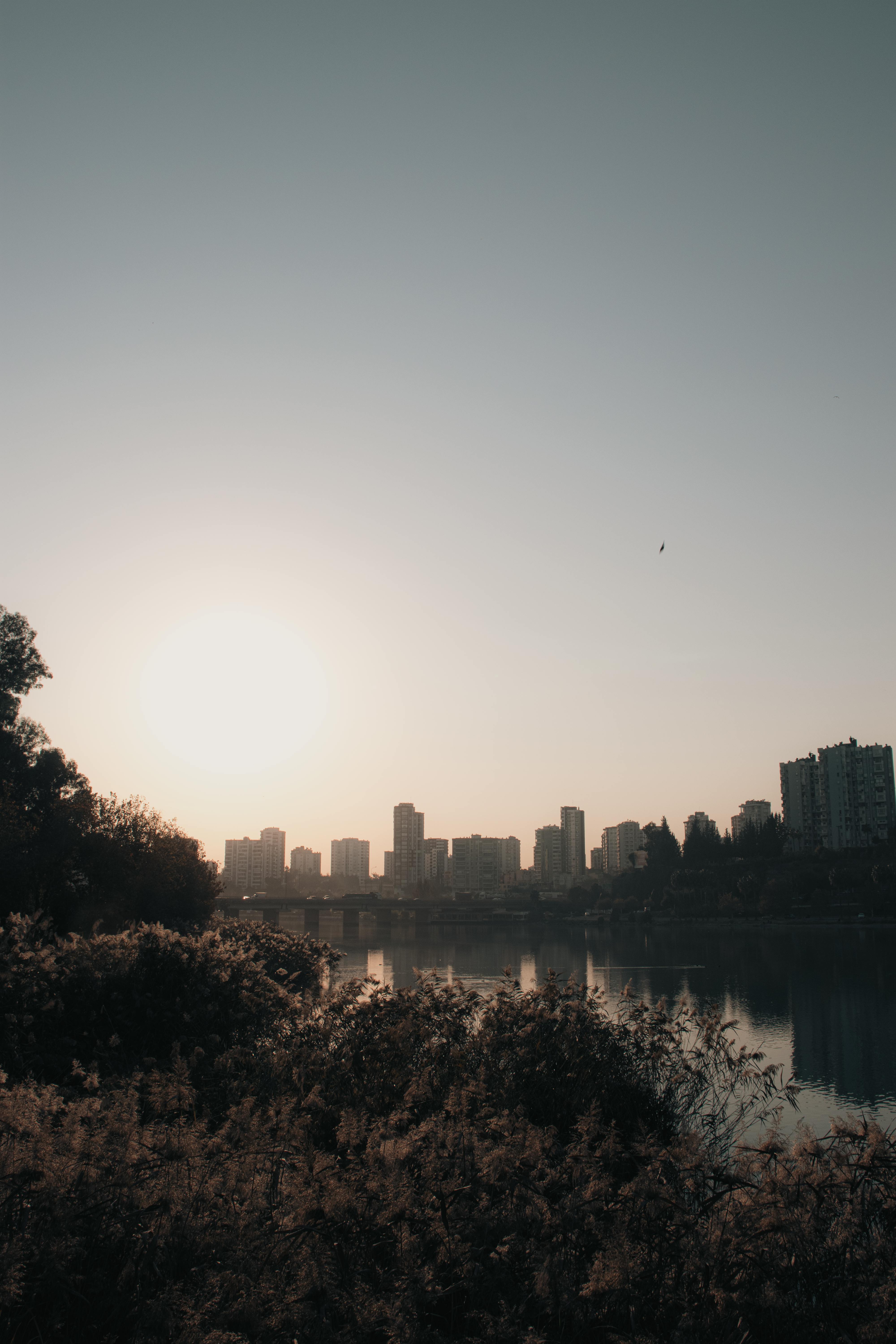 Photo of High-rise Buildings Under Clear Sky · Free Stock Photo