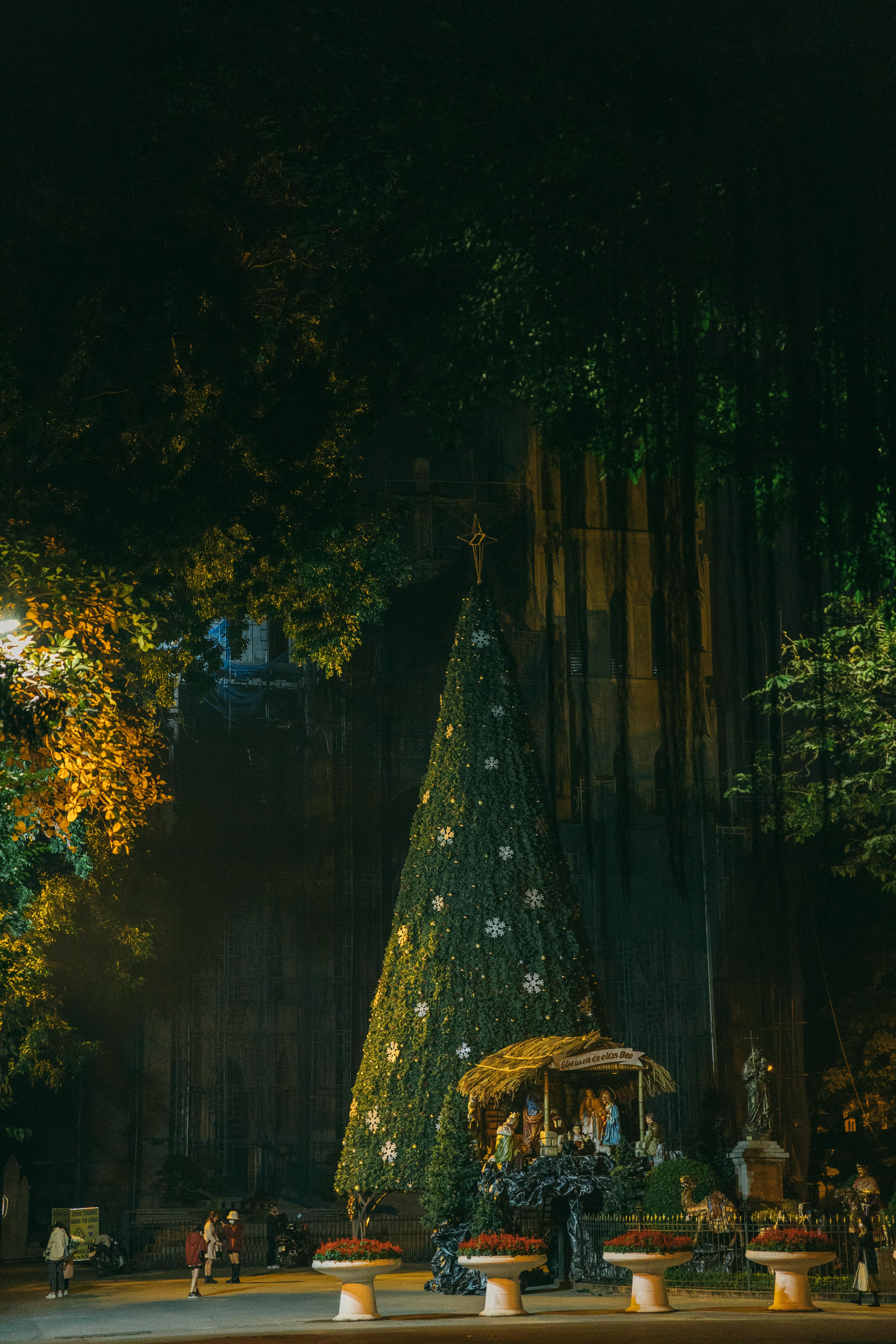 Christmas Scene Photos, Download The BEST Free Christmas Scene Stock ...