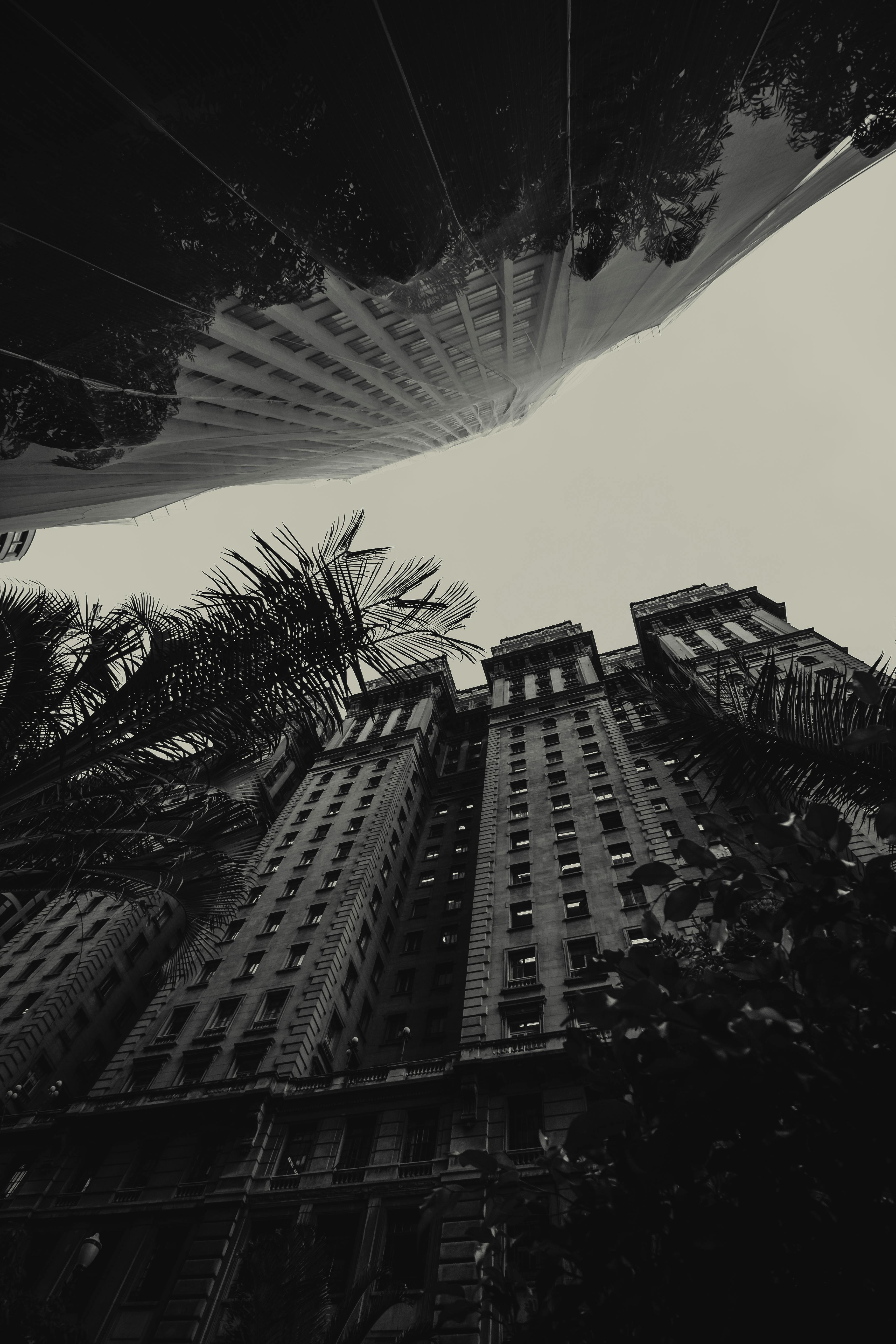 Greyscale Photo of Window Panel · Free Stock Photo