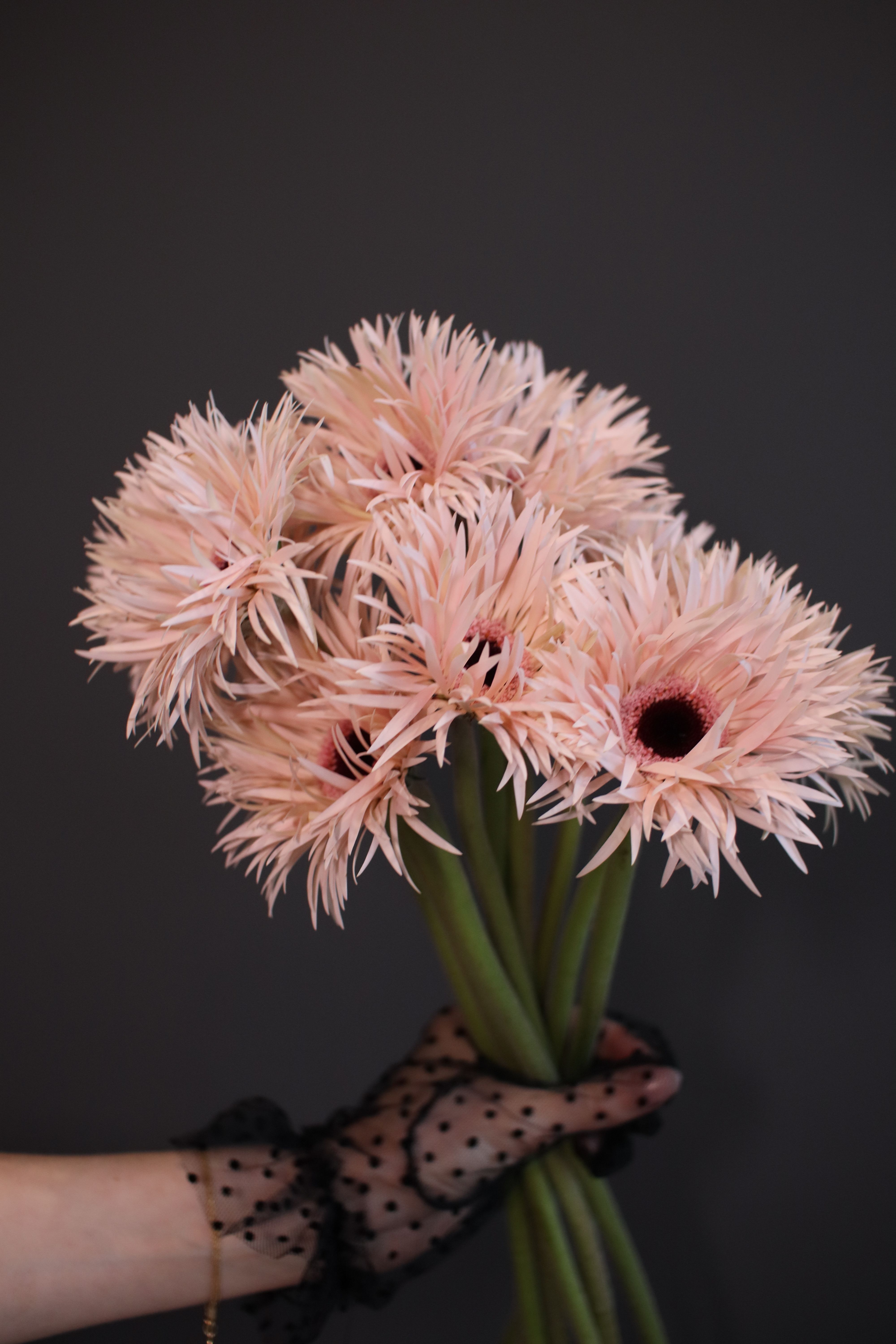 3D Scan of a Flower on a Black Background · Free Stock Photo