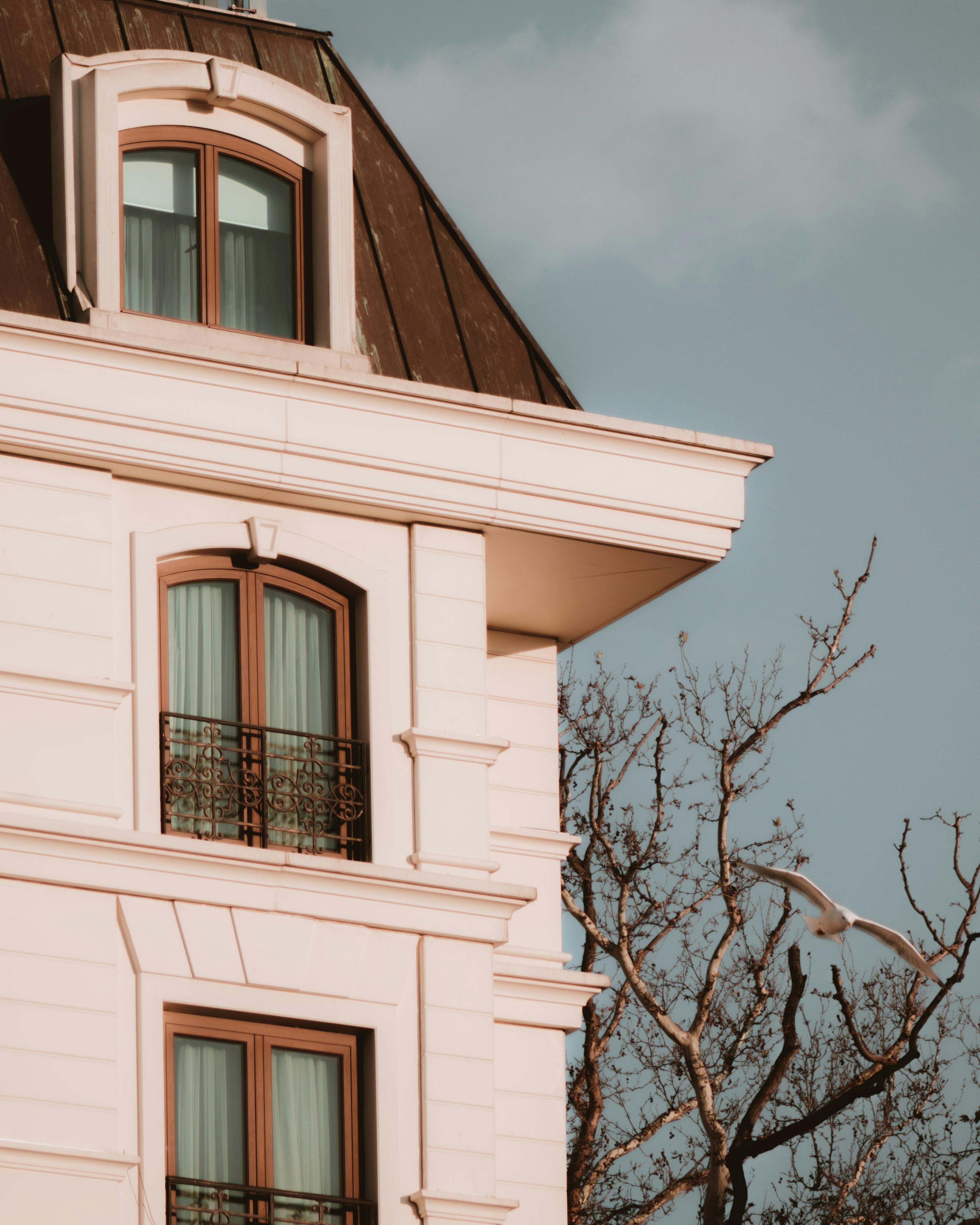 View of a Mansion · Free Stock Photo