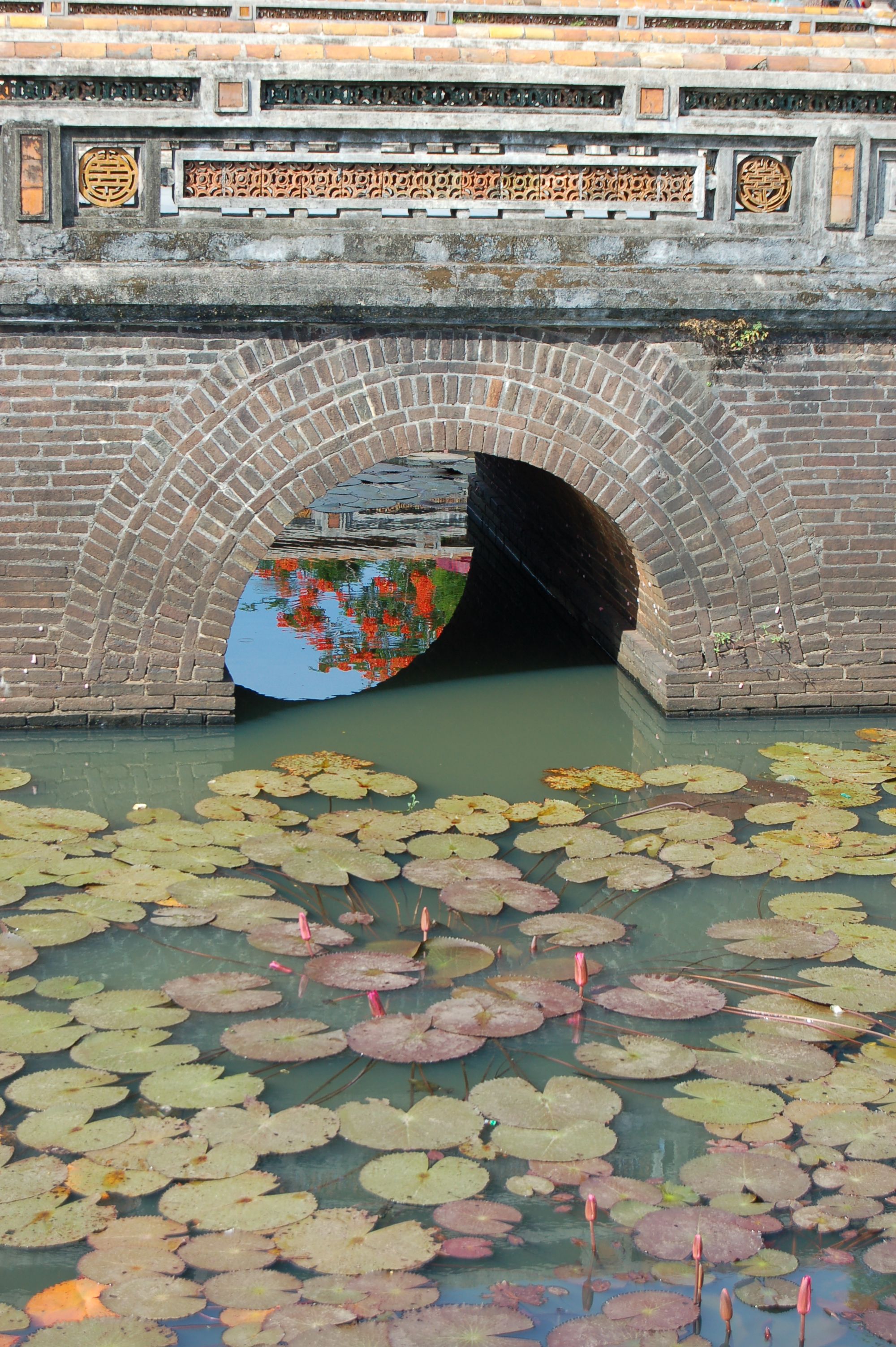 A Pond Under a Bridge with Floating Lotus Leaves · Free Stock Photo