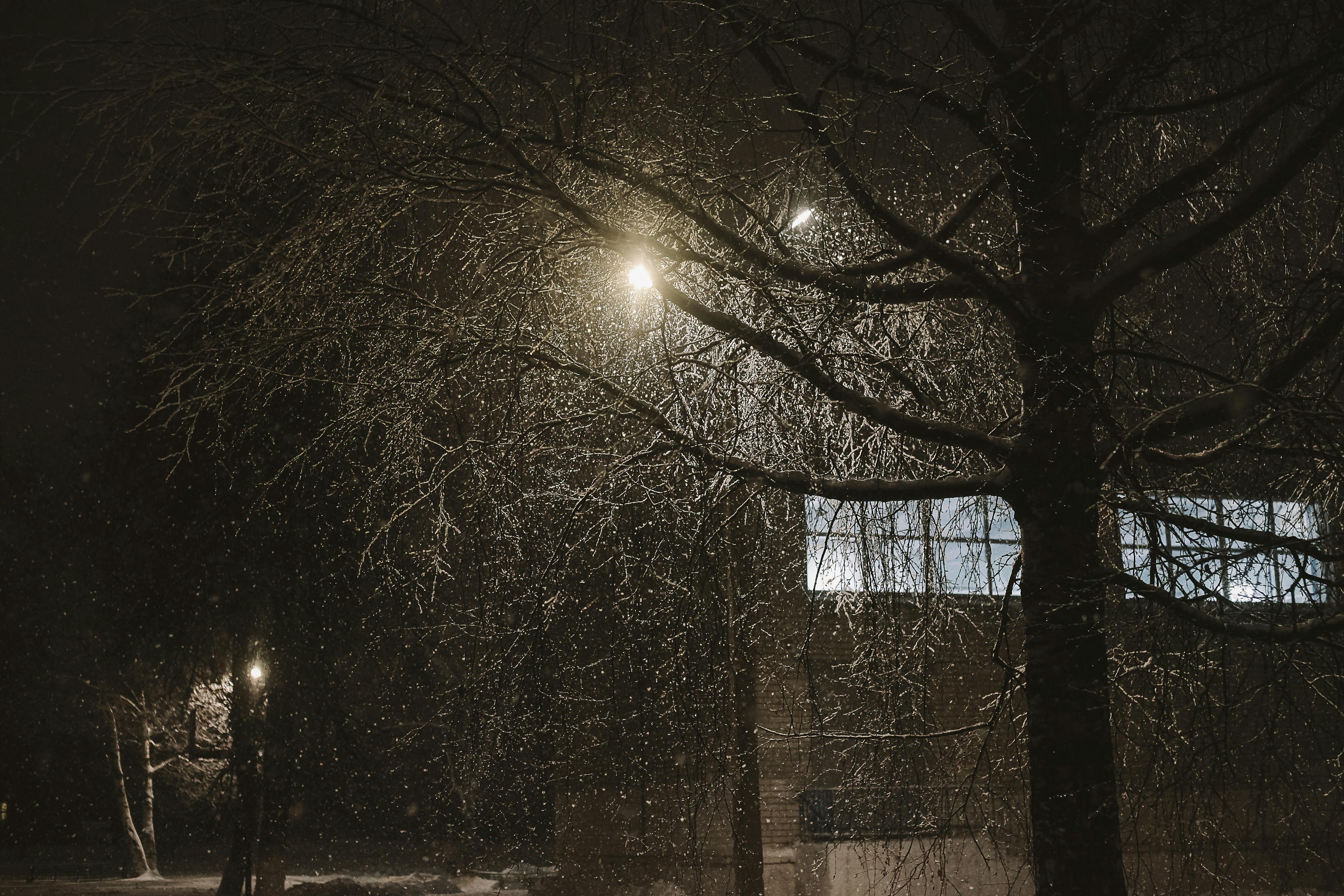 Lighted Street Lamp Post during Night Time · Free Stock Photo
