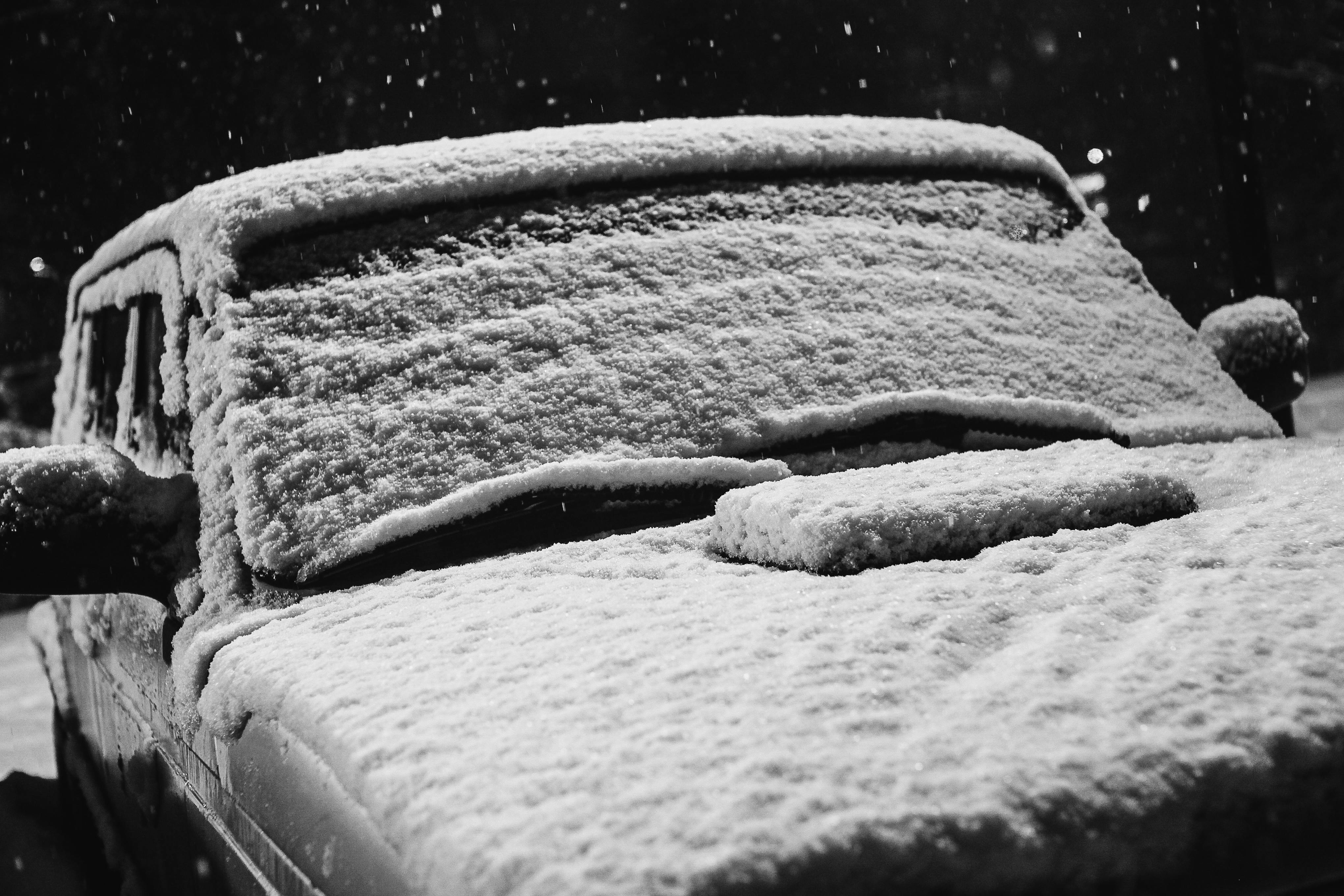 A Black and White Ford Shelby Mustang on Snow-Covered Road · Free Stock ...