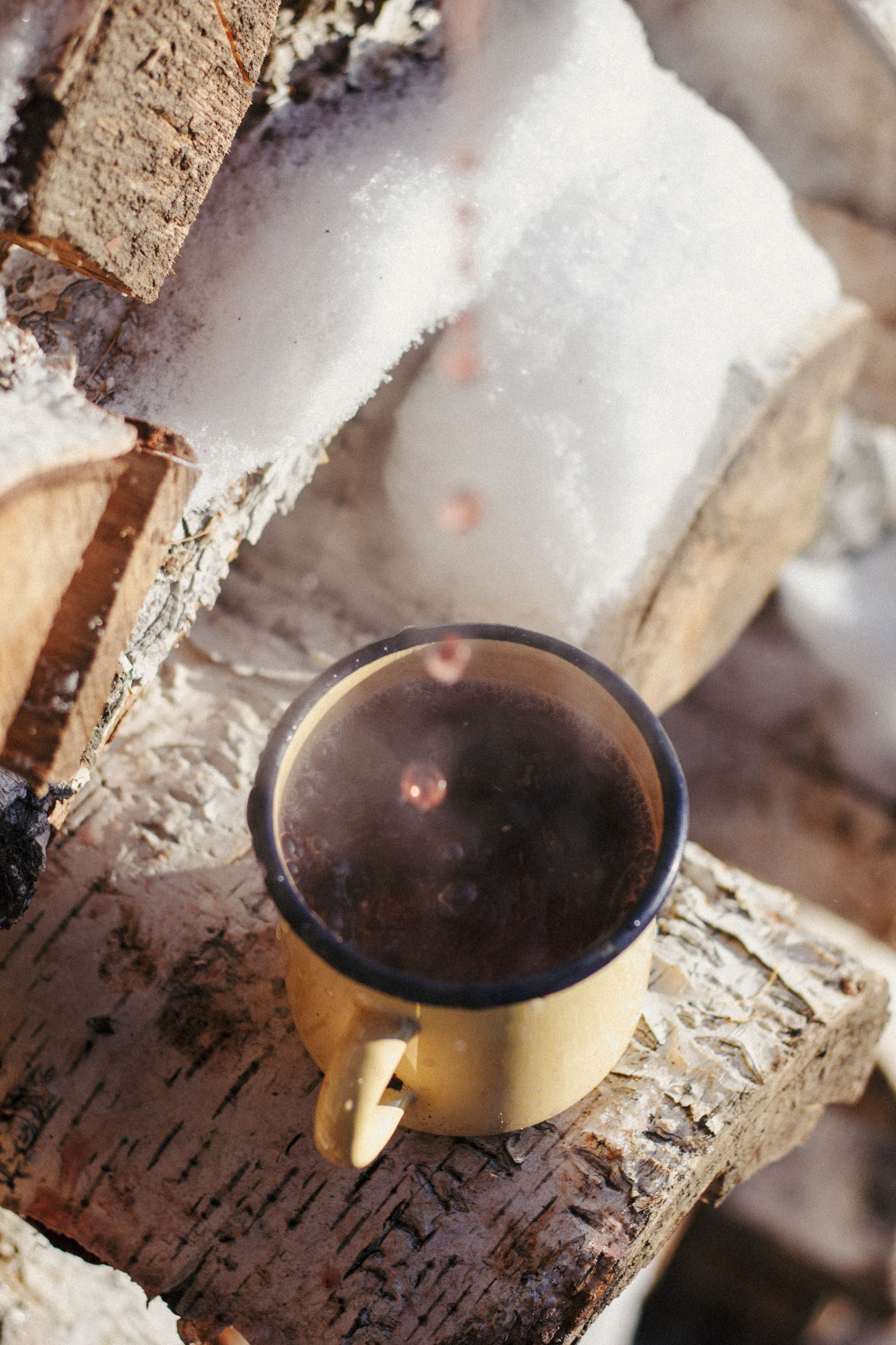 A Cup of Coffee on a Wooden Log Near the Bonfire · Free Stock Photo
