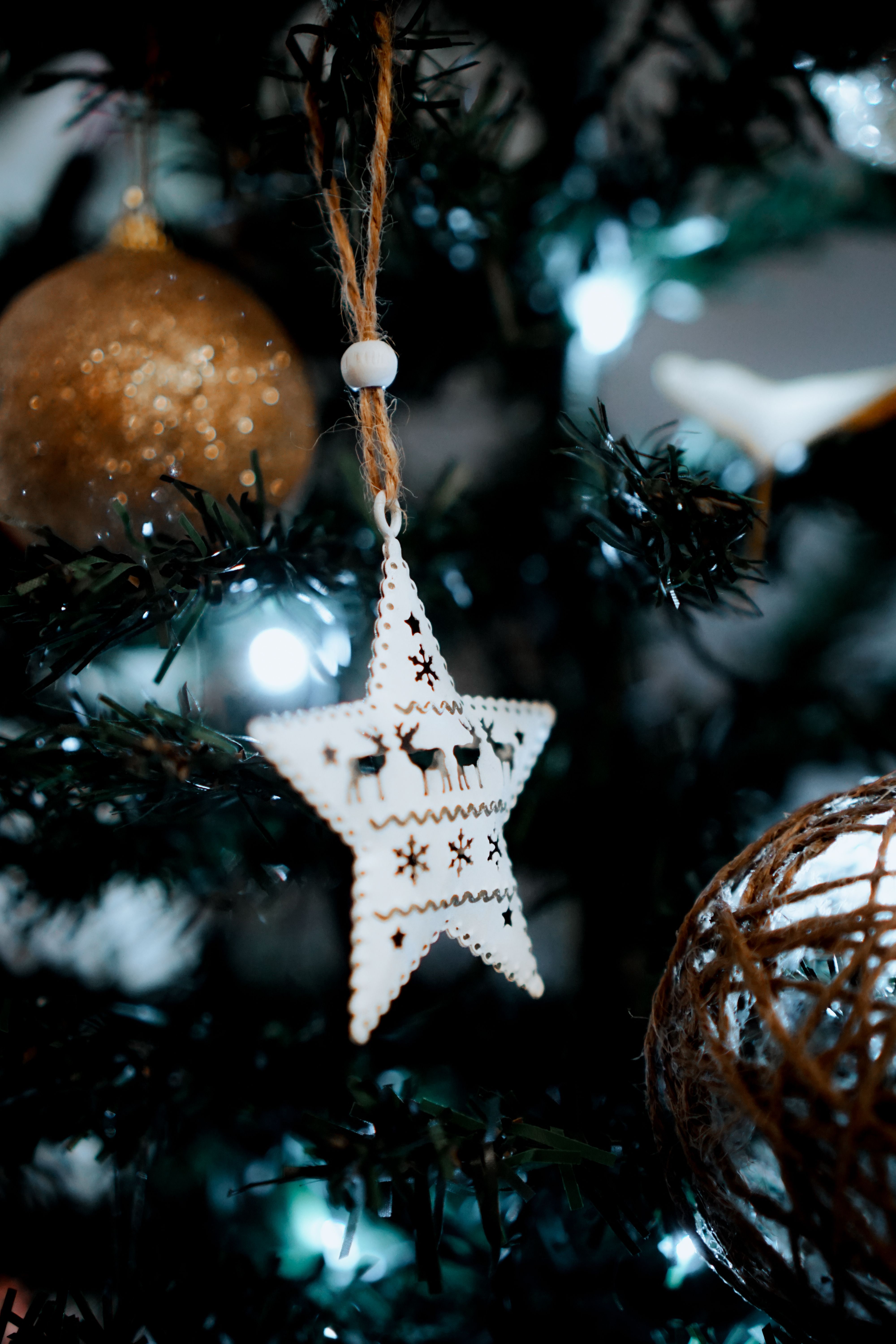 White Star Ornament Hanging on a Christmas Tree · Free Stock Photo