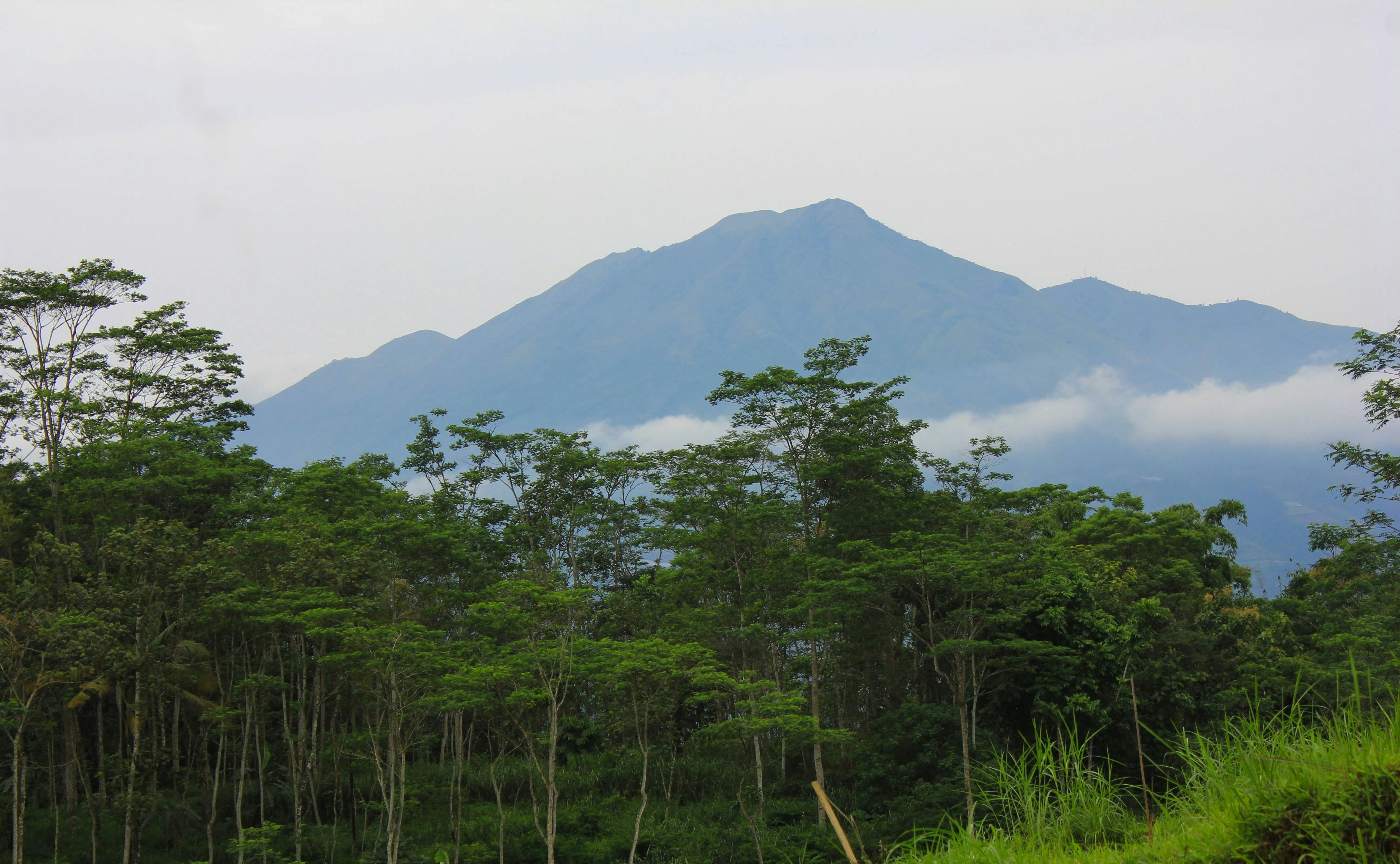 Gunung Photos, Download The BEST Free Gunung Stock Photos & HD Images