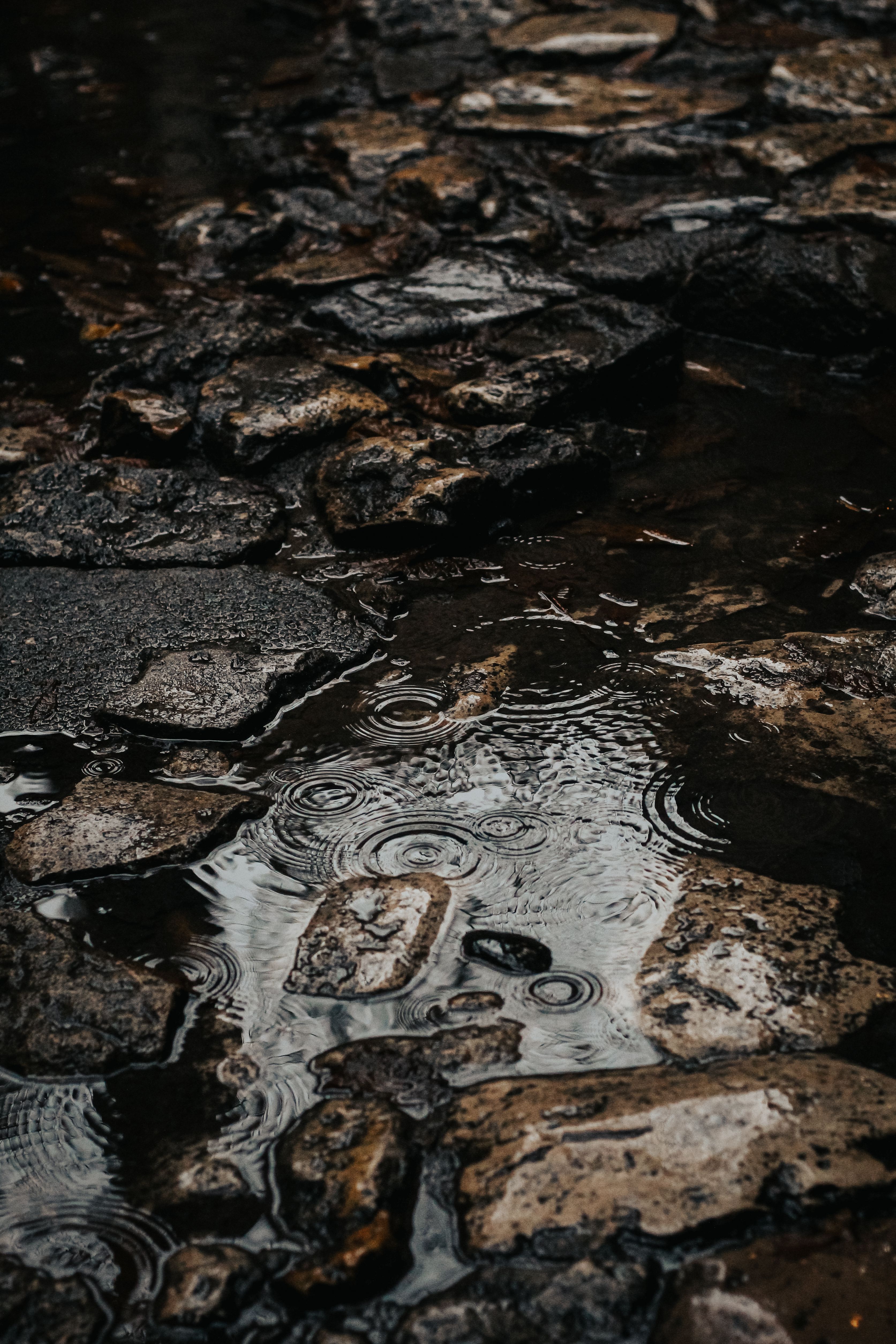 Rainy Windy Photos Download The Best Free Rainy Windy Stock Photos