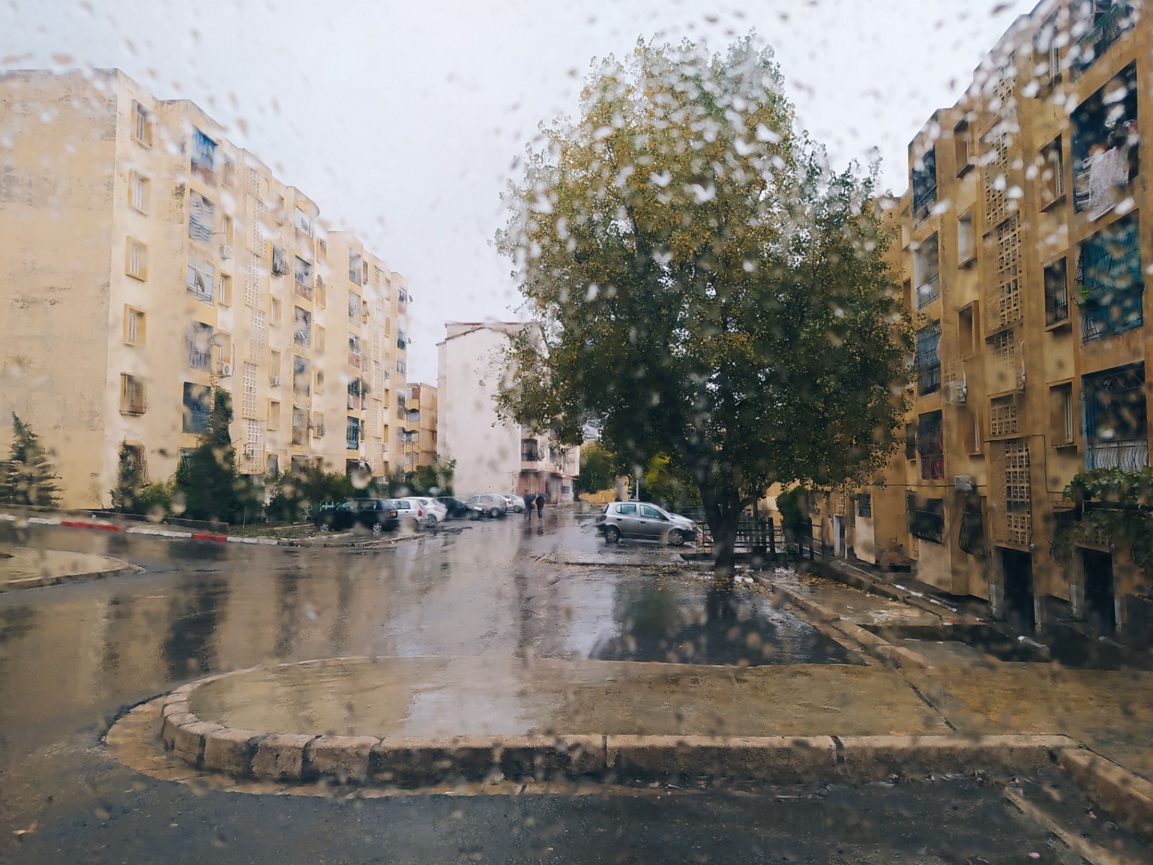 Rain Seen through Window · Free Stock Photo