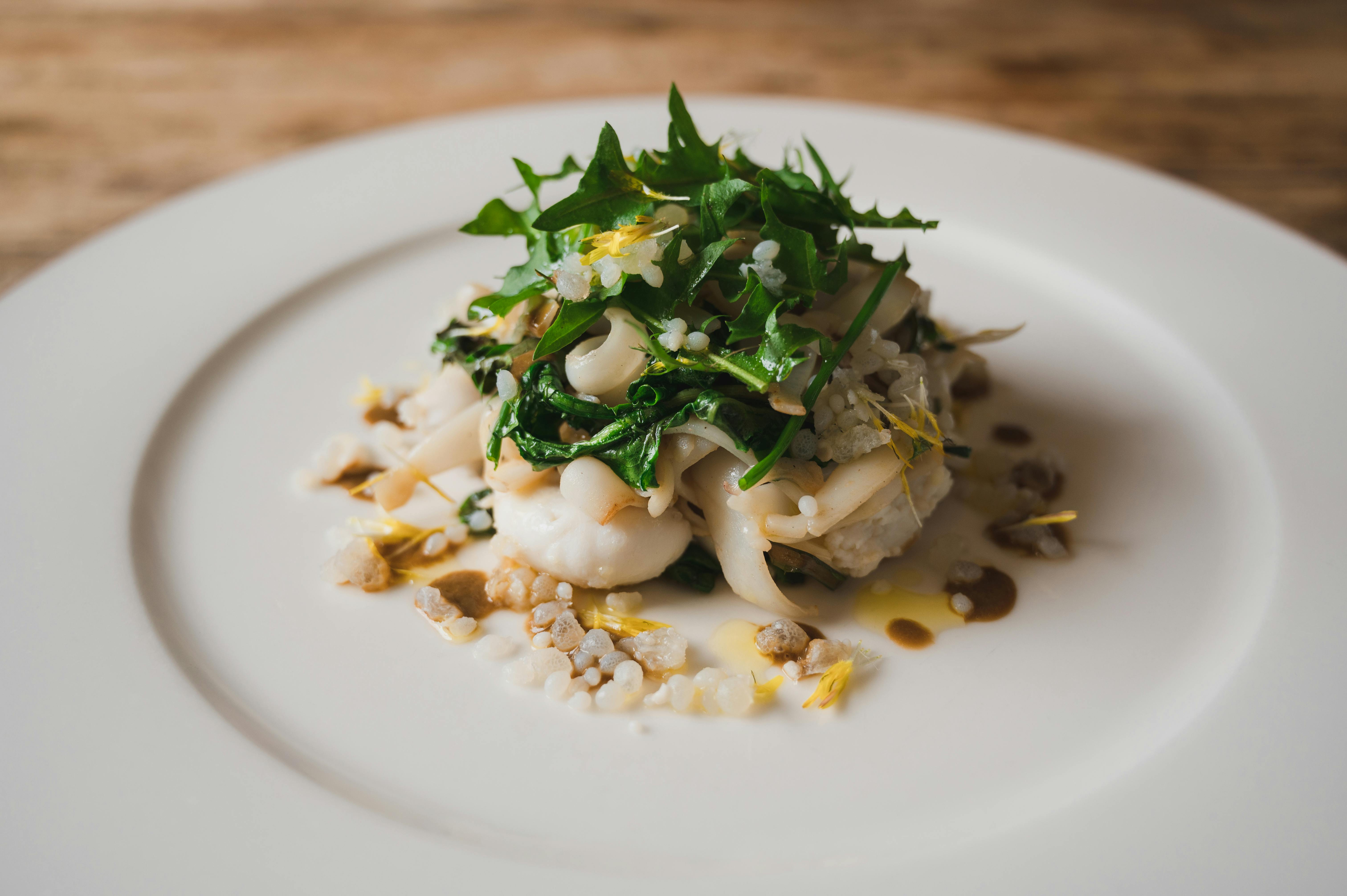 1,000+ Best Main Course Photos · 100% Free Download · Pexels Stock Photos