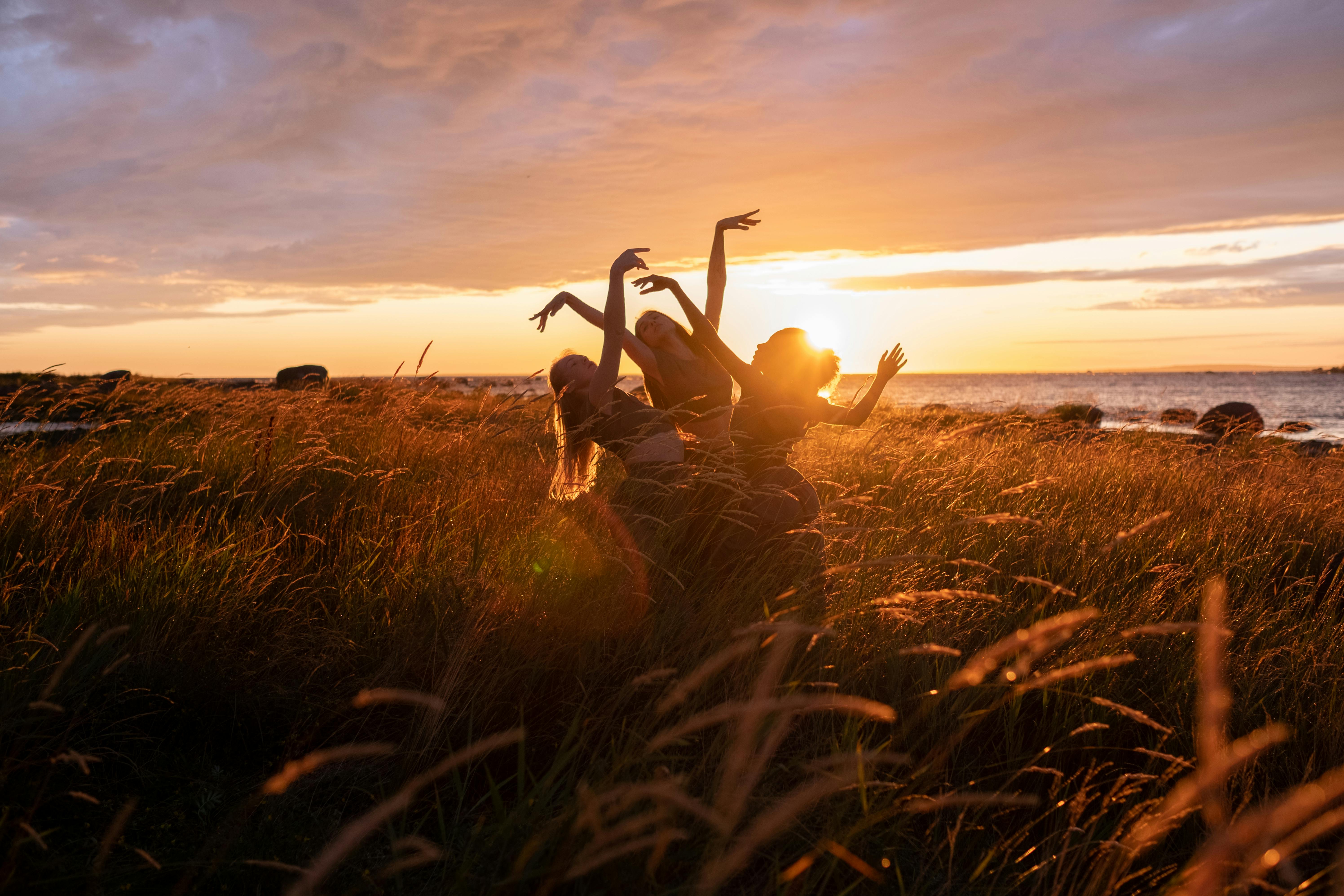 10.000+ melhores imagens de Tarpa Dance · Download 100% grátis · Fotos ...
