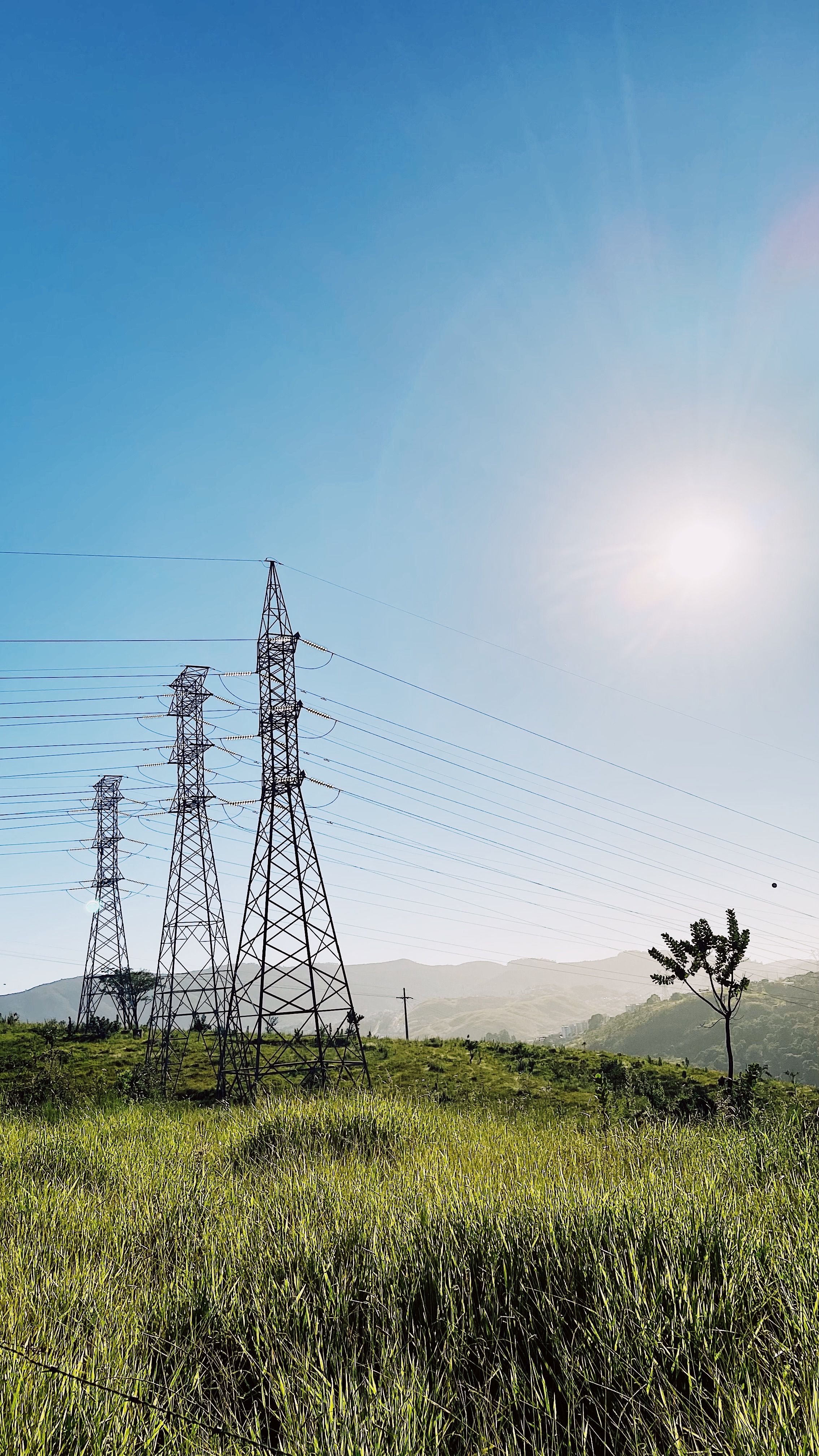 Electric Posts on Grass Field during Sunny Day · Free Stock Photo