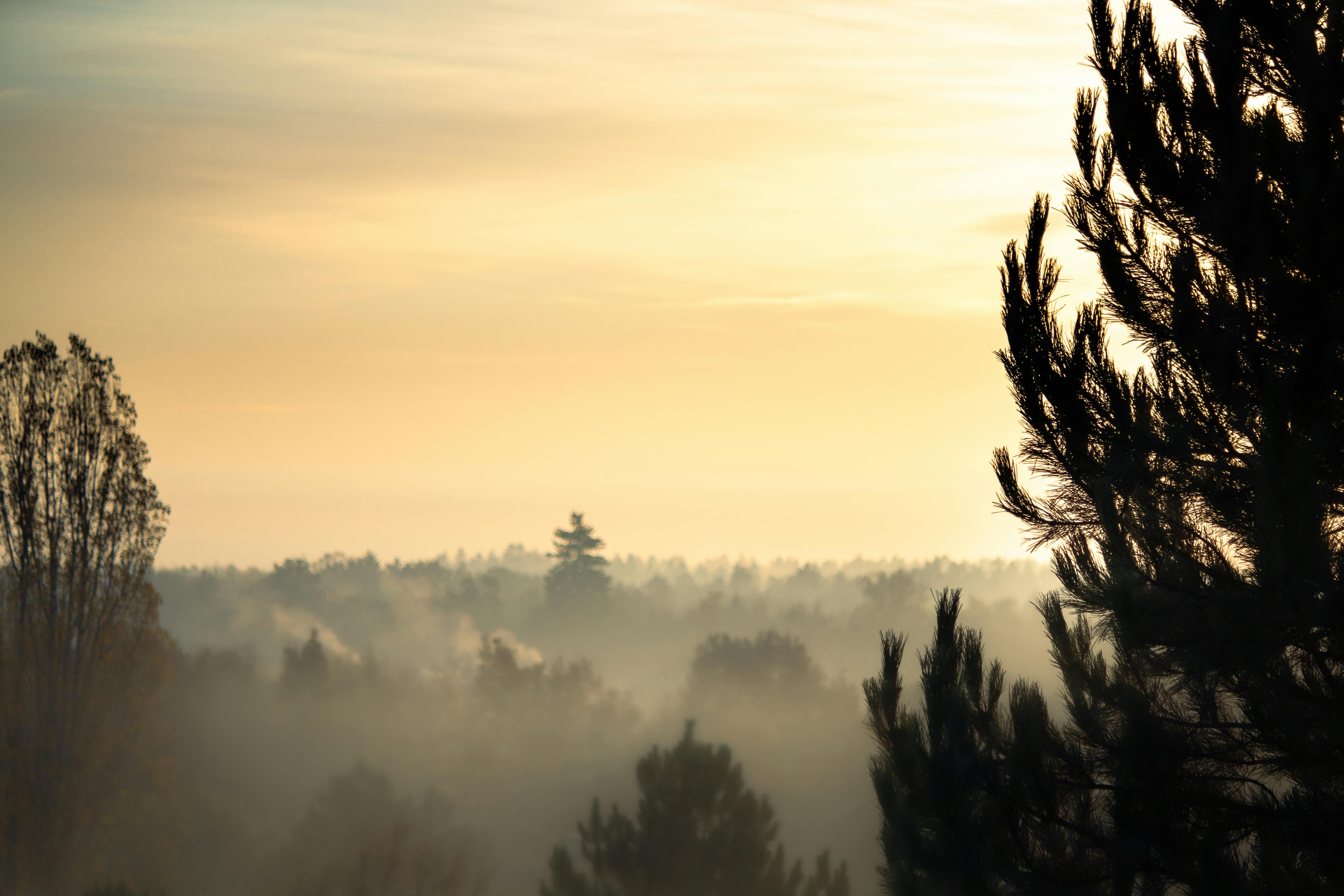 Niclas Haritos - Photography