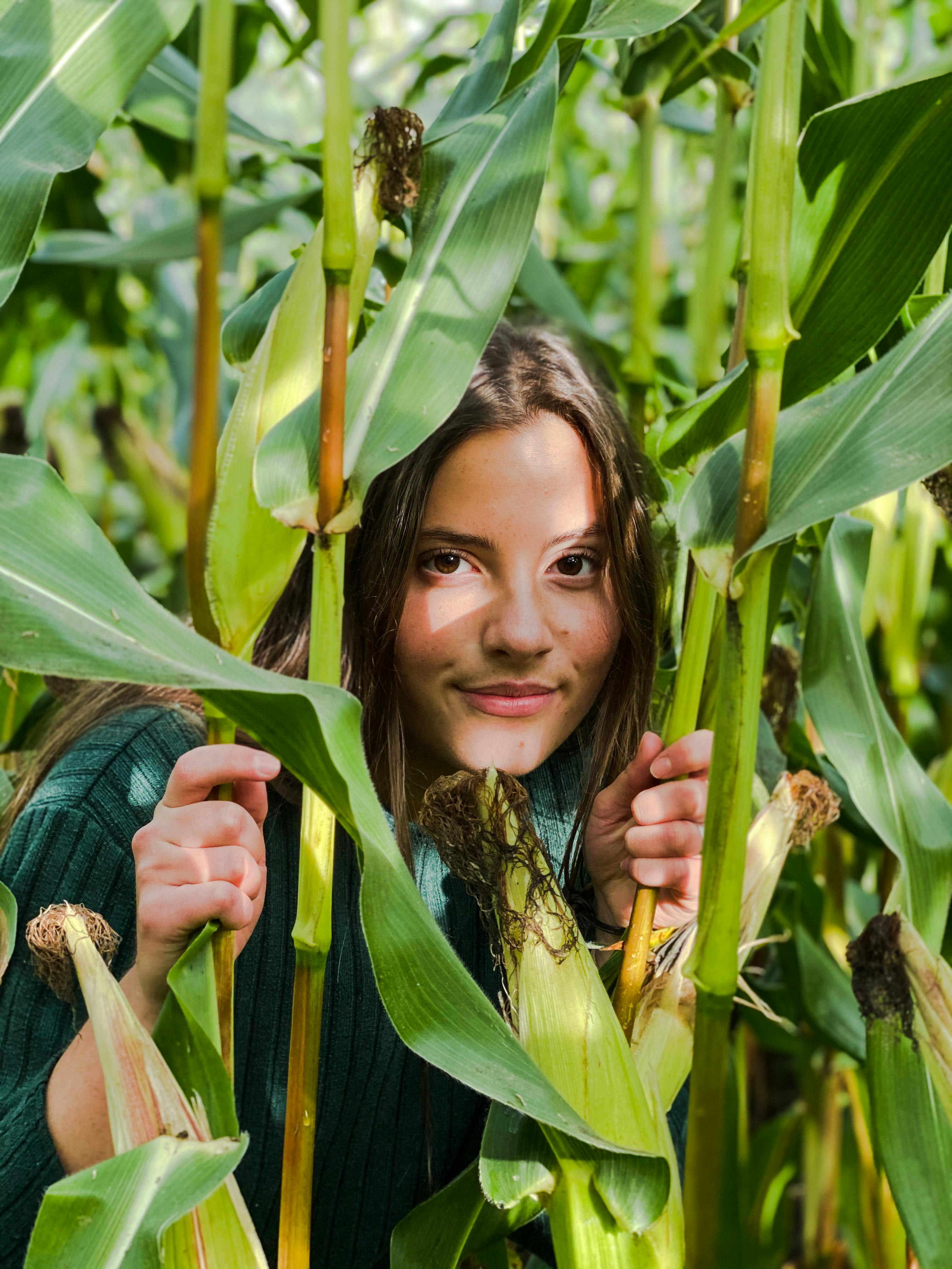 Woman holding Corn Plants · Free Stock Photo
