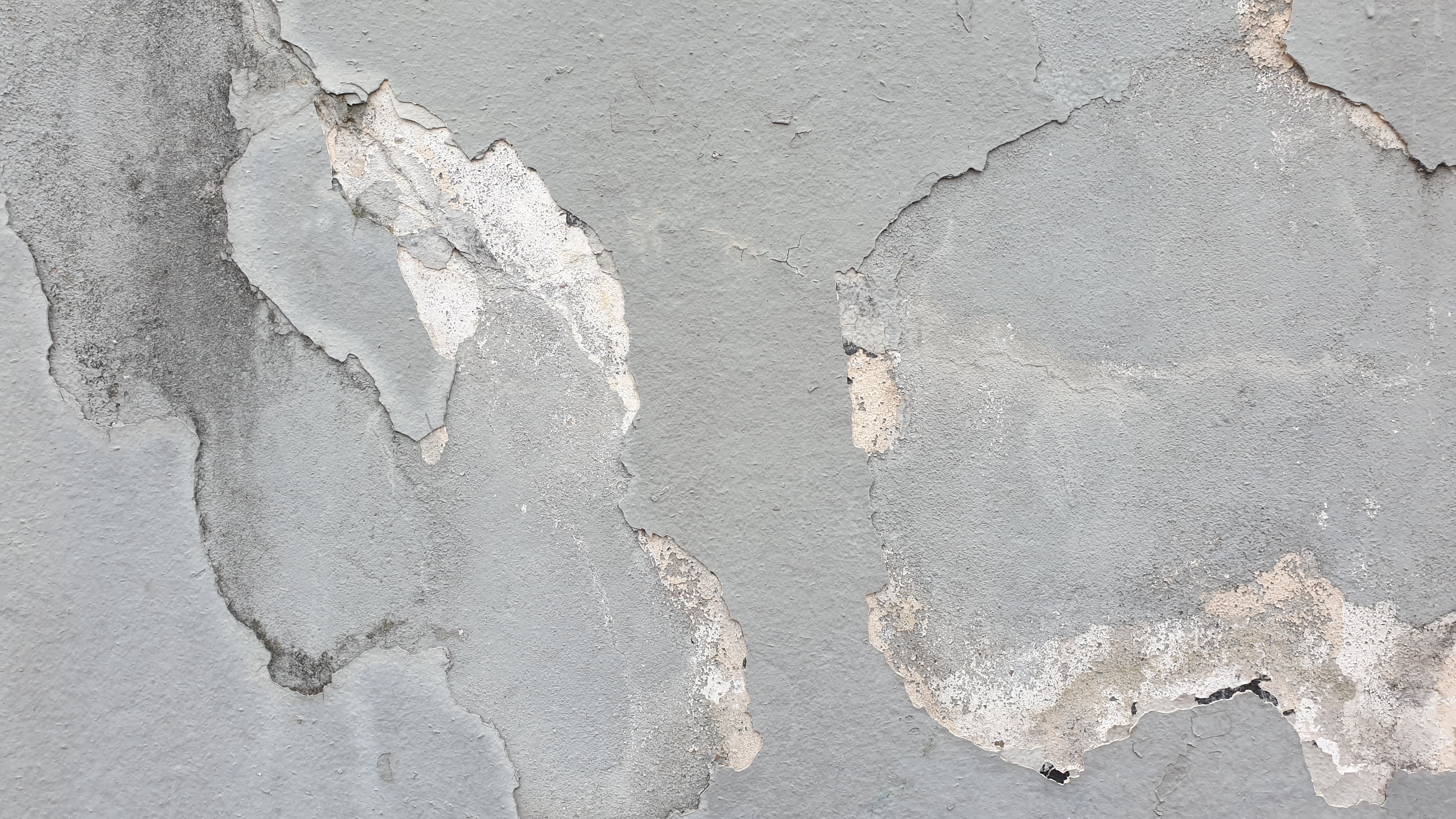 Grey Concrete Wall · Free Stock Photo