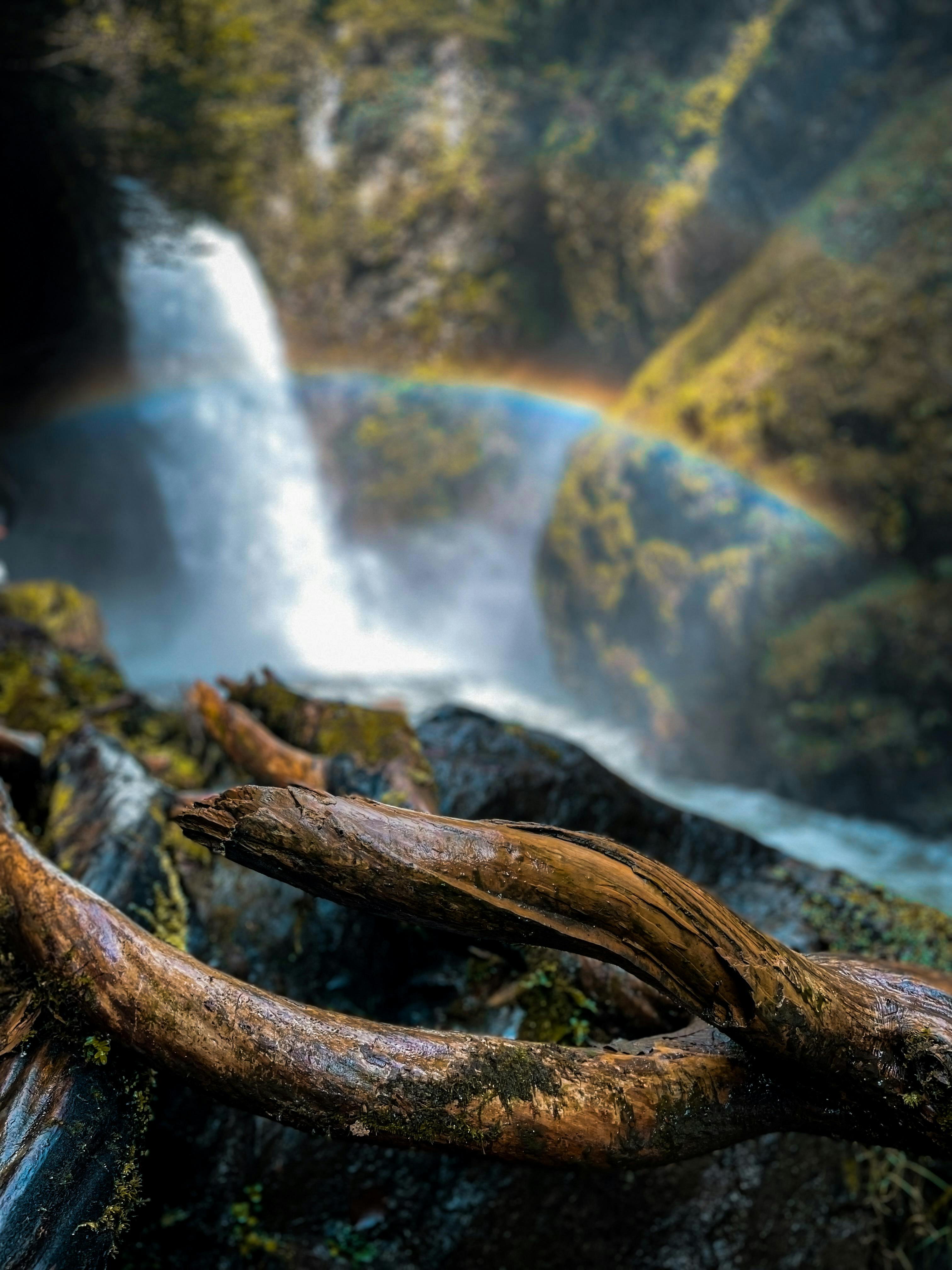 Raw Log Photography Photos, Download The BEST Free Raw Log Photography ...