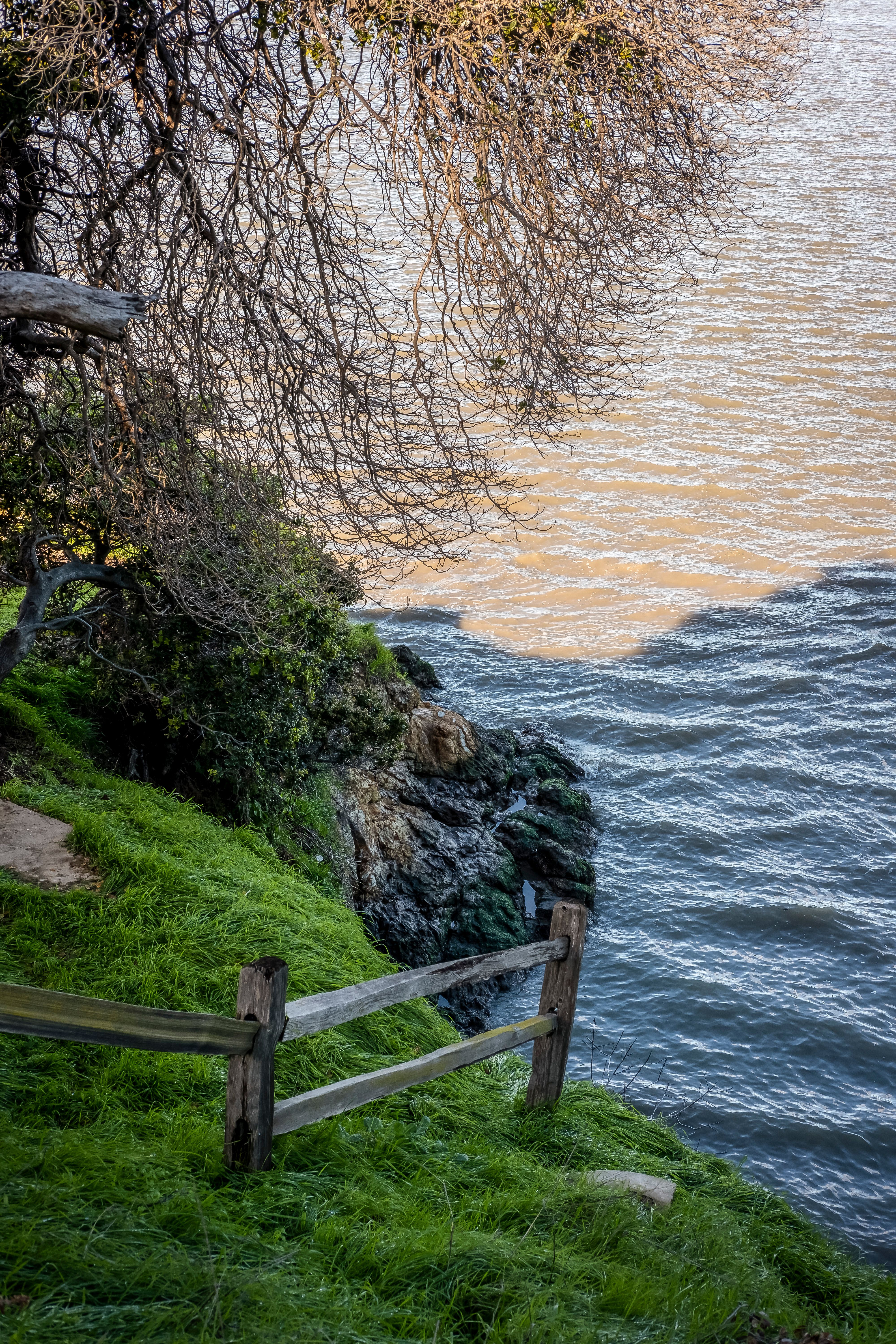 Brown Wooden Fence Near Body of Water · Free Stock Photo